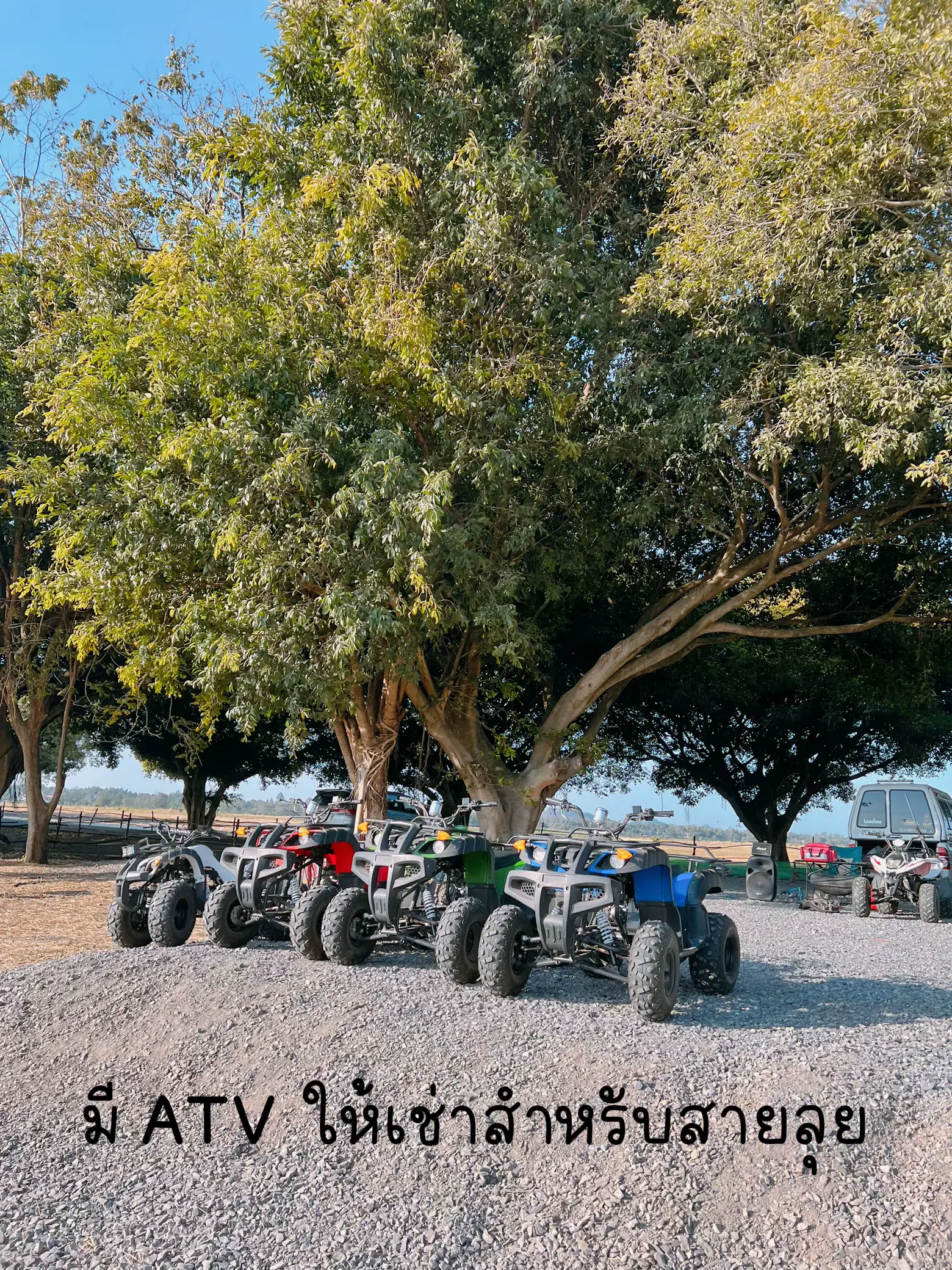 🌻 พาเที่ยวทุ่งทานตะวันใหญ่ที่สุดในลพบุรี | แกลเลอรีที่โพสต์โดย titlemeta | Lemon8