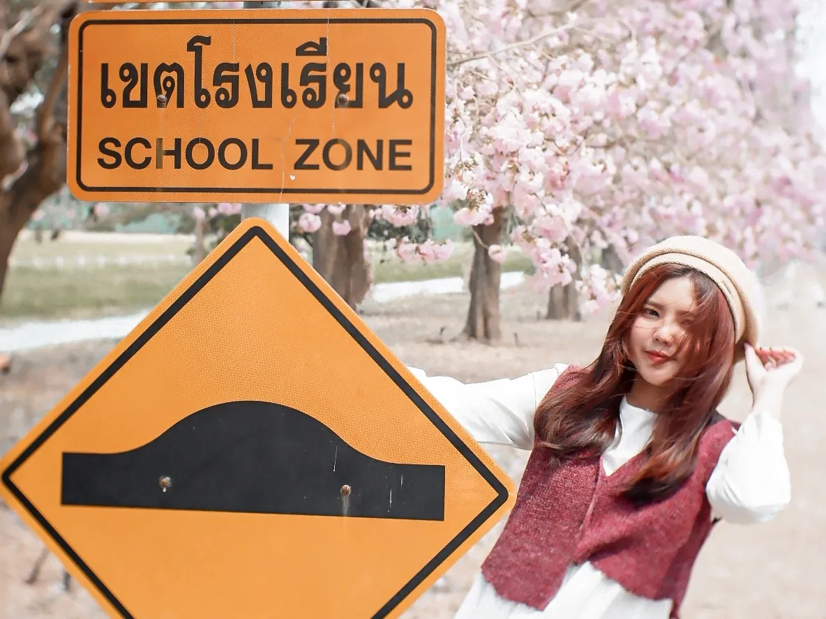 ชมพูพันธุ์ทิพย์ 🌸 บานแล้วนะทุกคนนน | แกลเลอรีที่โพสต์โดย Ploy's Memory | Lemon8