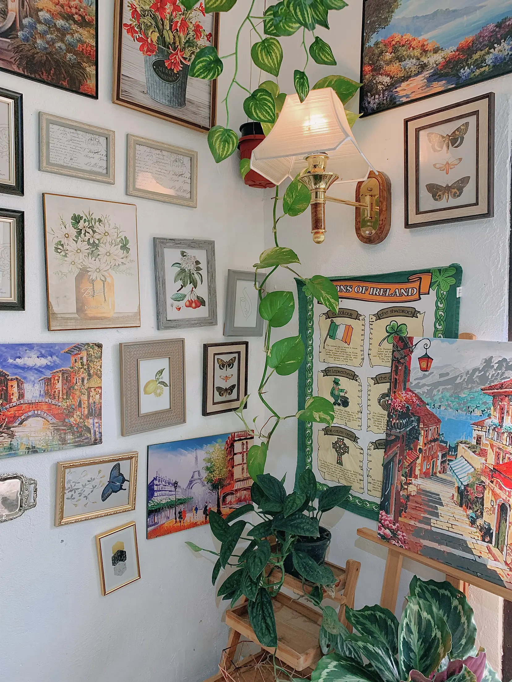 Botanica house | คาเฟ่เล็กๆ สำหรับคนรักดอกไม้🌼🌸🌻💐🌷 | แกลเลอรีที่โพสต์ ...