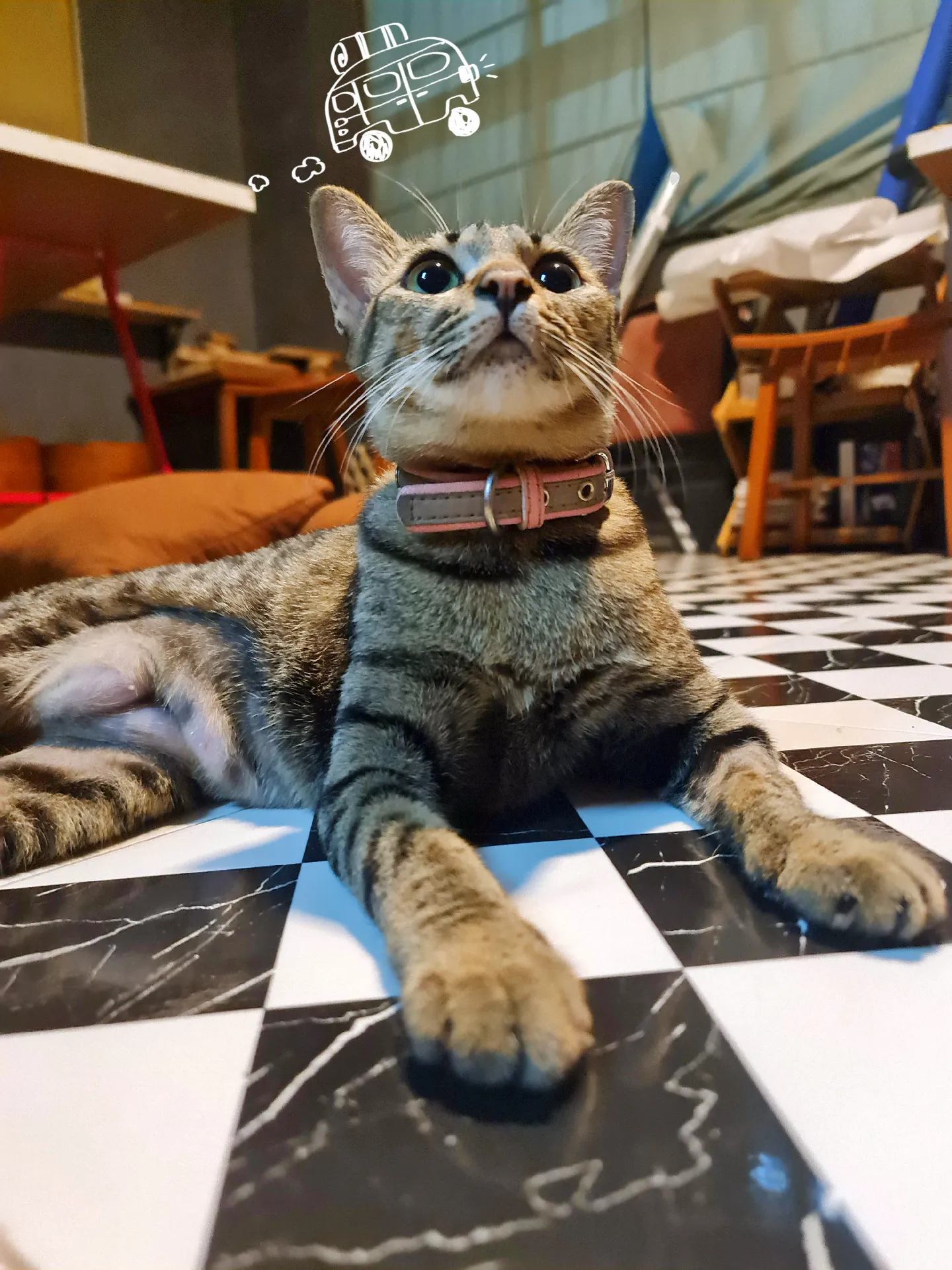 Tiny Liu | Gallery posted by 🐈‍⬛ Meow🐈‍⬛ | Lemon8