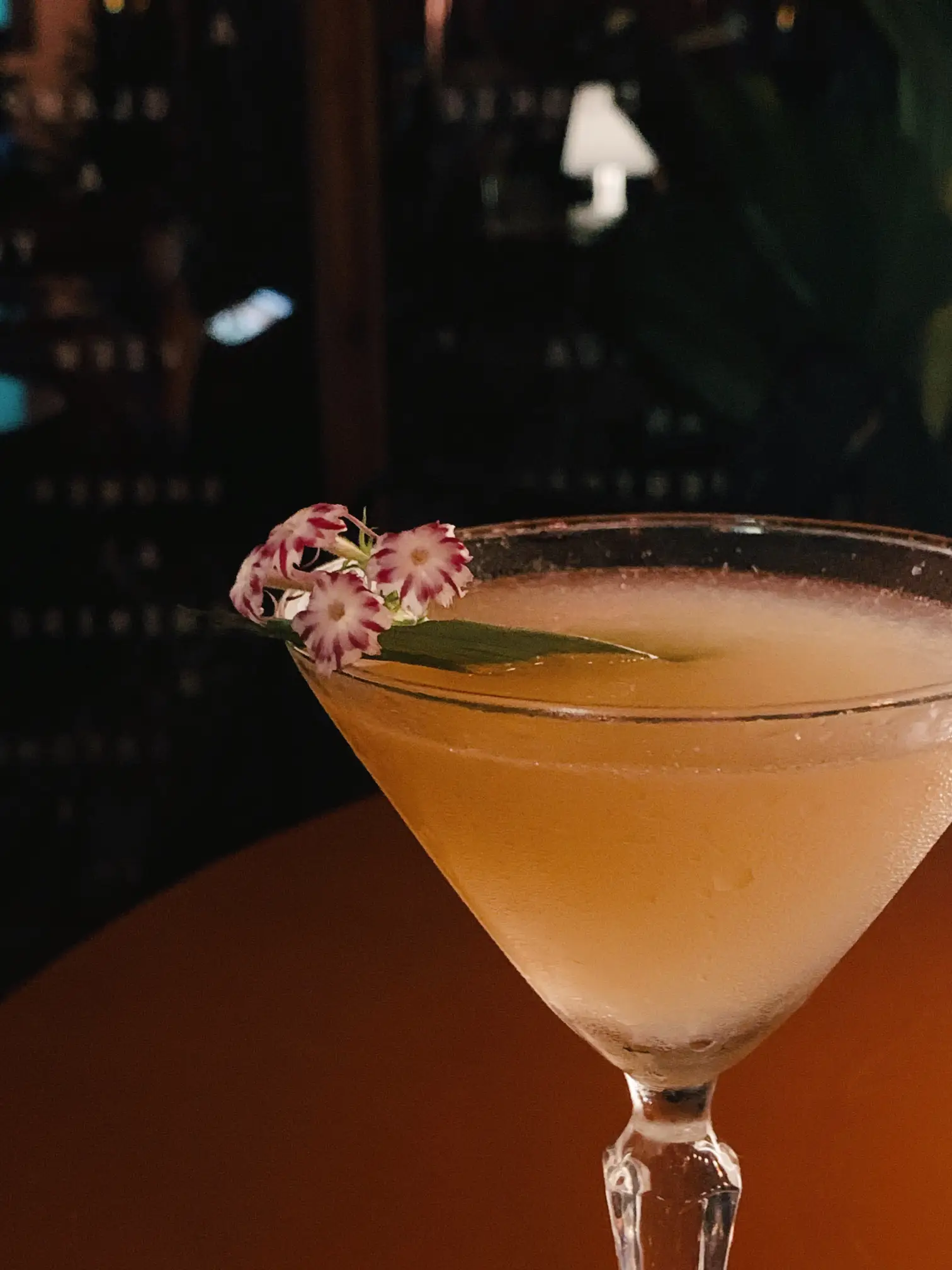 𝐇𝐀𝐕𝐄 𝐀 𝐒𝐈𝐏 - Coffee Cocktail Bar của VJ Thuỳ Minh | Bộ sưu tập do ...