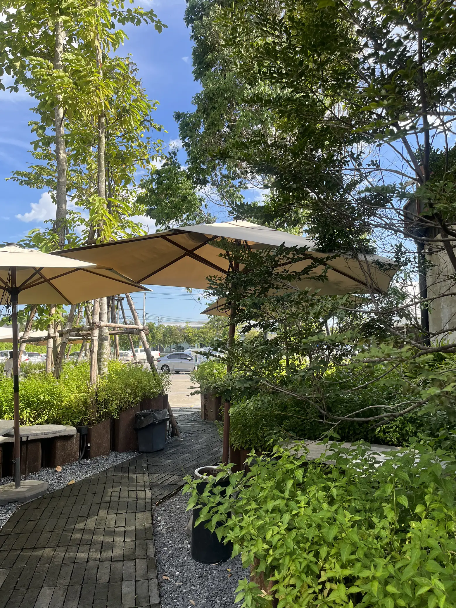 Rolling Rosters คาเฟ่ย่านราชพฤกษ์ | แกลเลอรีที่โพสต์โดย เจ้าแมวจอมรีวิว ...