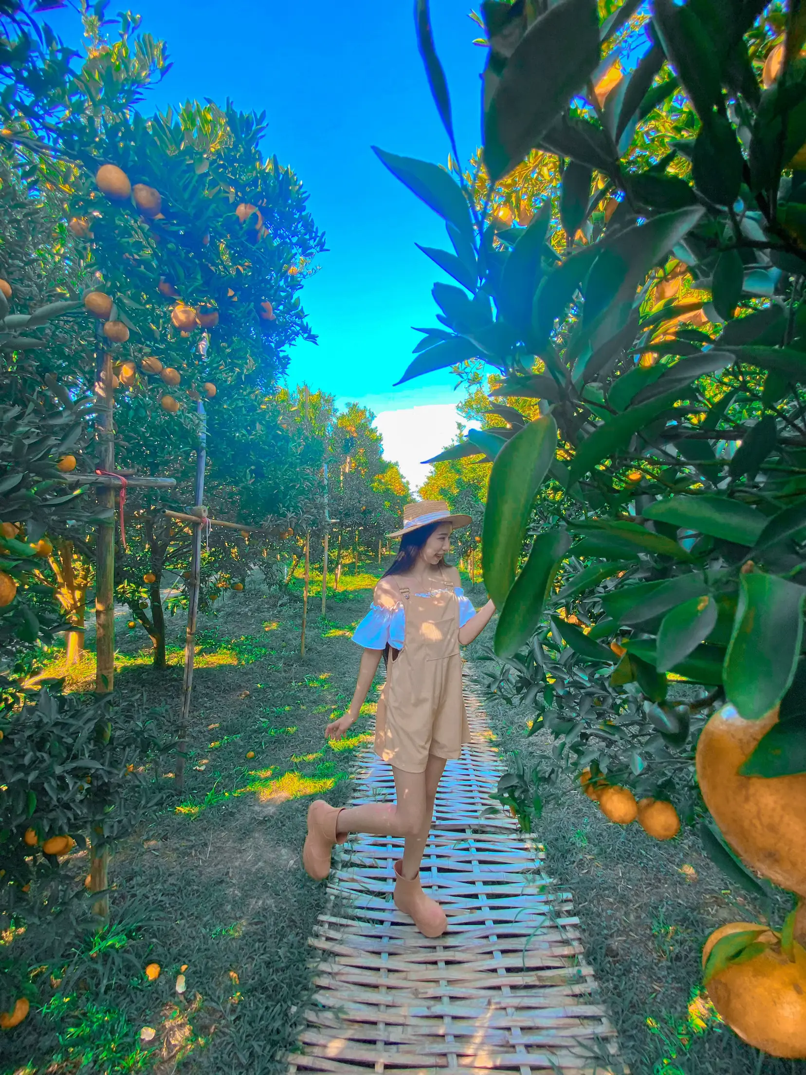 สวมส้ม จ.เชียงใหม่ 🍊 | แกลเลอรีที่โพสต์โดย Bai'Mint☘️ | Lemon8