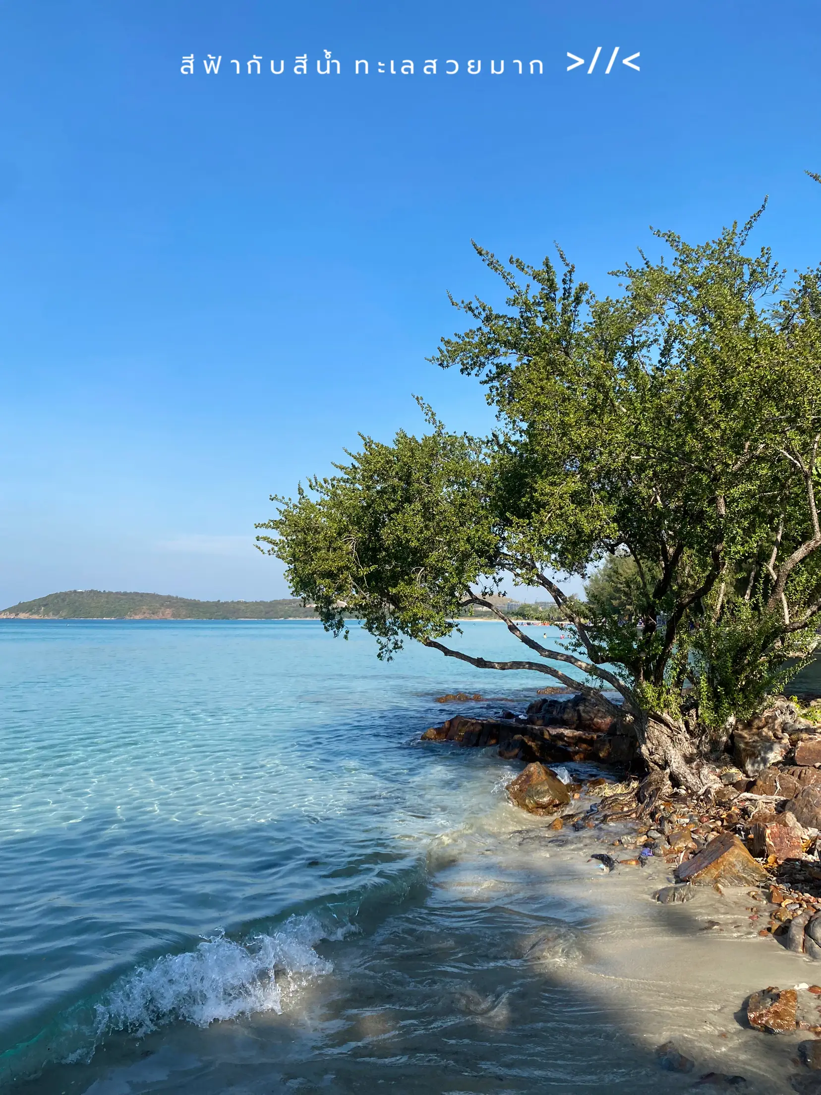 ‘หาดน้ำใส’ ที่ลับๆชลบุรี ดูกี่ทีก็นึกว่าทะเลใต้! 🌊🐚 | แกลเลอรีที่โพสต์ ...