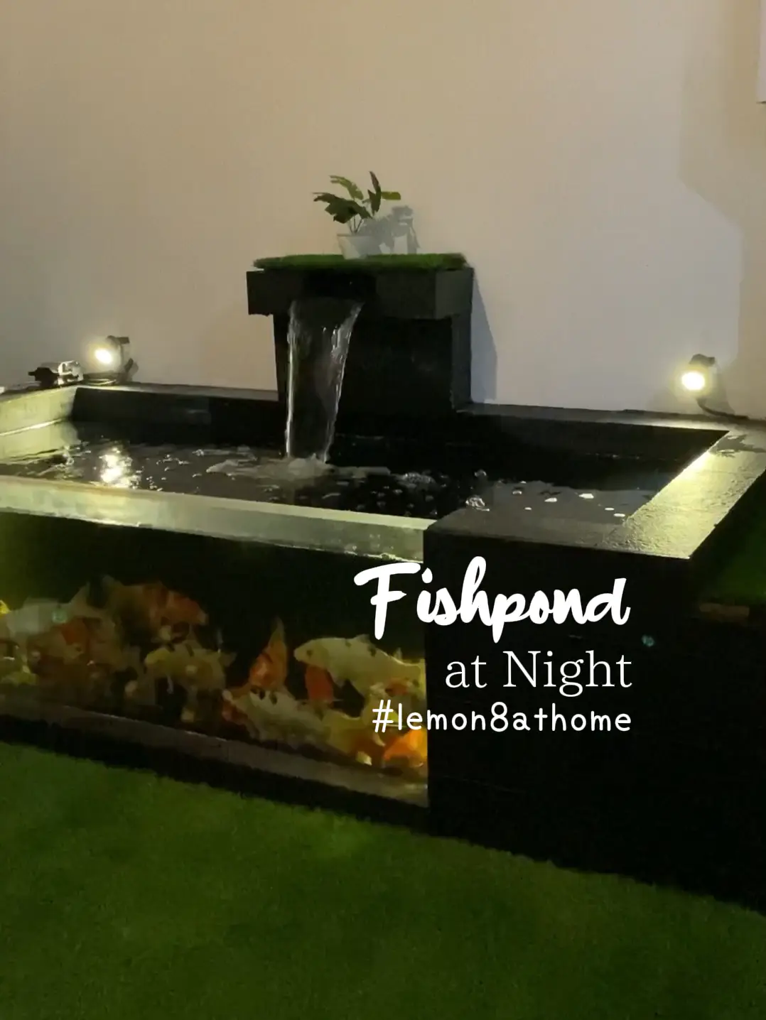 Fishpond at Night in my Home | Video dipublikasikan oleh rumah.mnt | Lemon8