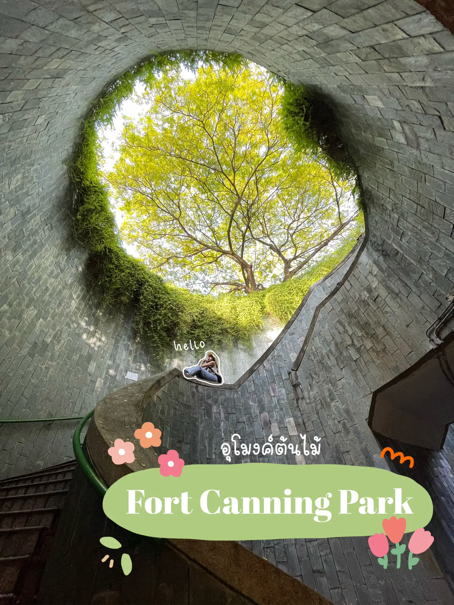 🪵Fort Canning Park | อุโมงค์ต้นไม้ของคนรักการถ่ายรูป | แกลเลอรีที่โพสต์ ...
