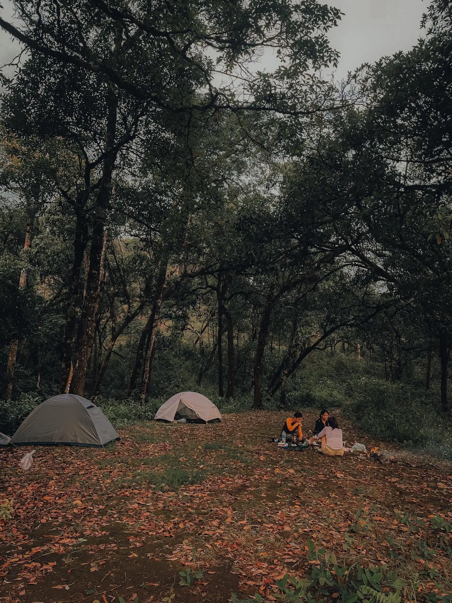 เดินป่าชิลล์ๆ (มั้ง) ที่ดอยลังกาน้อย | แกลเลอรีที่โพสต์โดย Nit Niramon | Lemon8