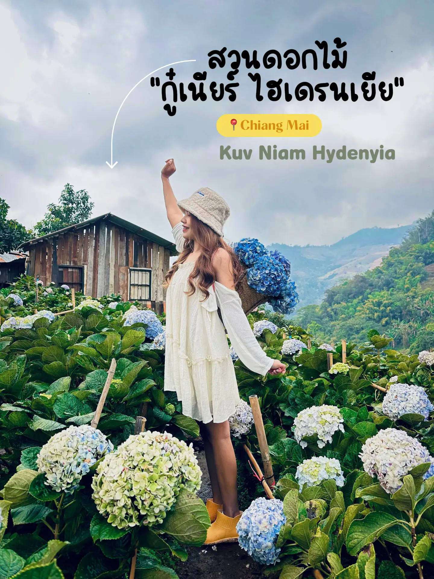 Hydrangea Park, Chiang Mai Mon. 💓🌷🤍 | Gallery posted by Bow 🌵 | Lemon8