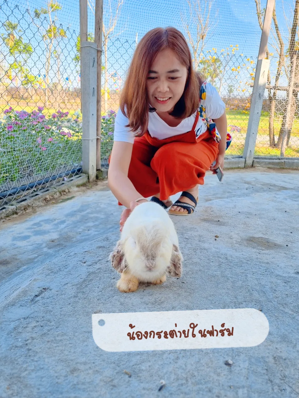 เที่ยวอุทัยธานี ฉบับนอนคิด 2 วัน 1คืน | แกลเลอรีที่โพสต์โดย Joy nitta | Lemon8