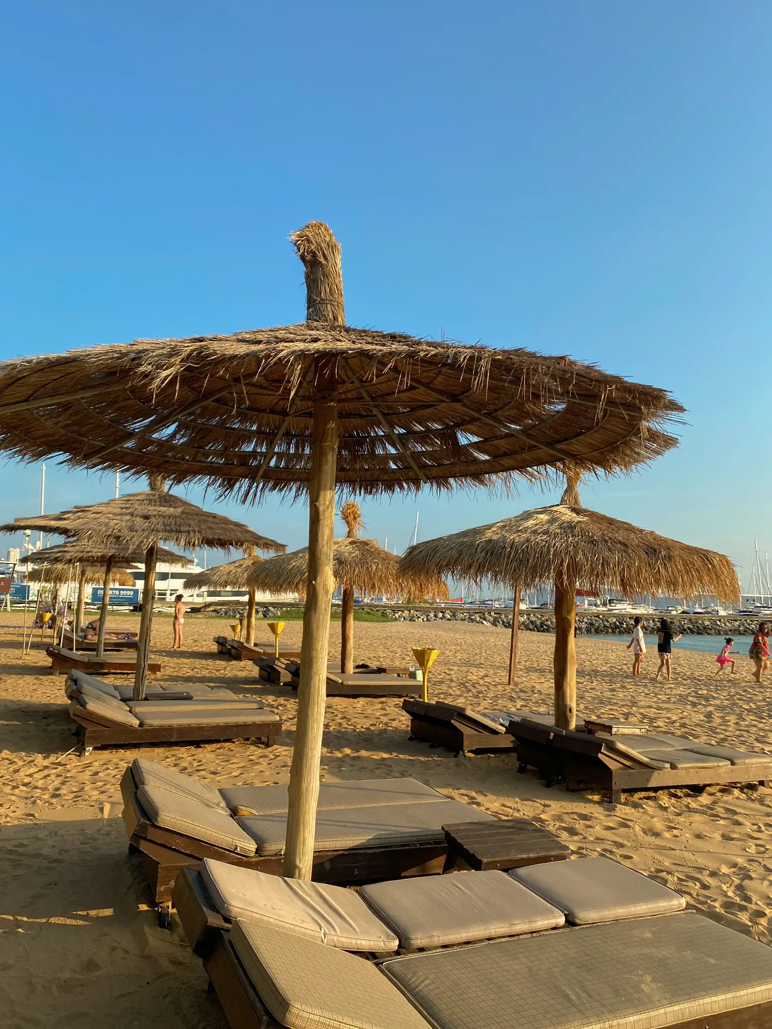 Good Old Sea Beach Cafe คาเฟ่พัทยา 👙🌴 | แกลเลอรีที่โพสต์โดย 🐰 | Lemon8