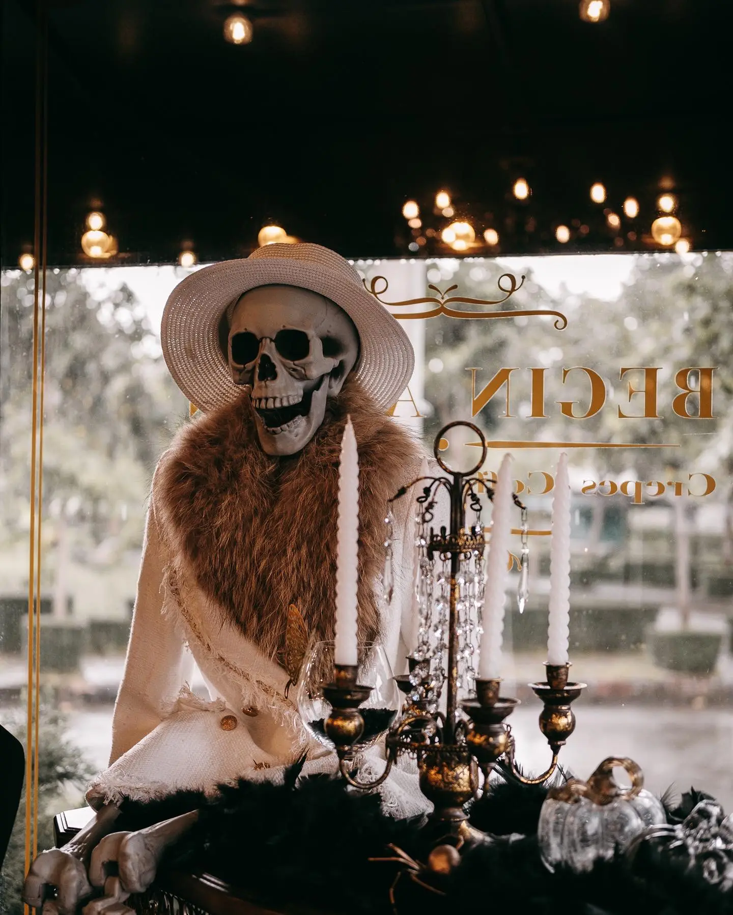 Begin Again เปลี่ยนบรรยากาศเป็นธีมฮาโลวีน 💀🖤 | แกลเลอรีที่โพสต์โดย Rattomarty | Lemon8