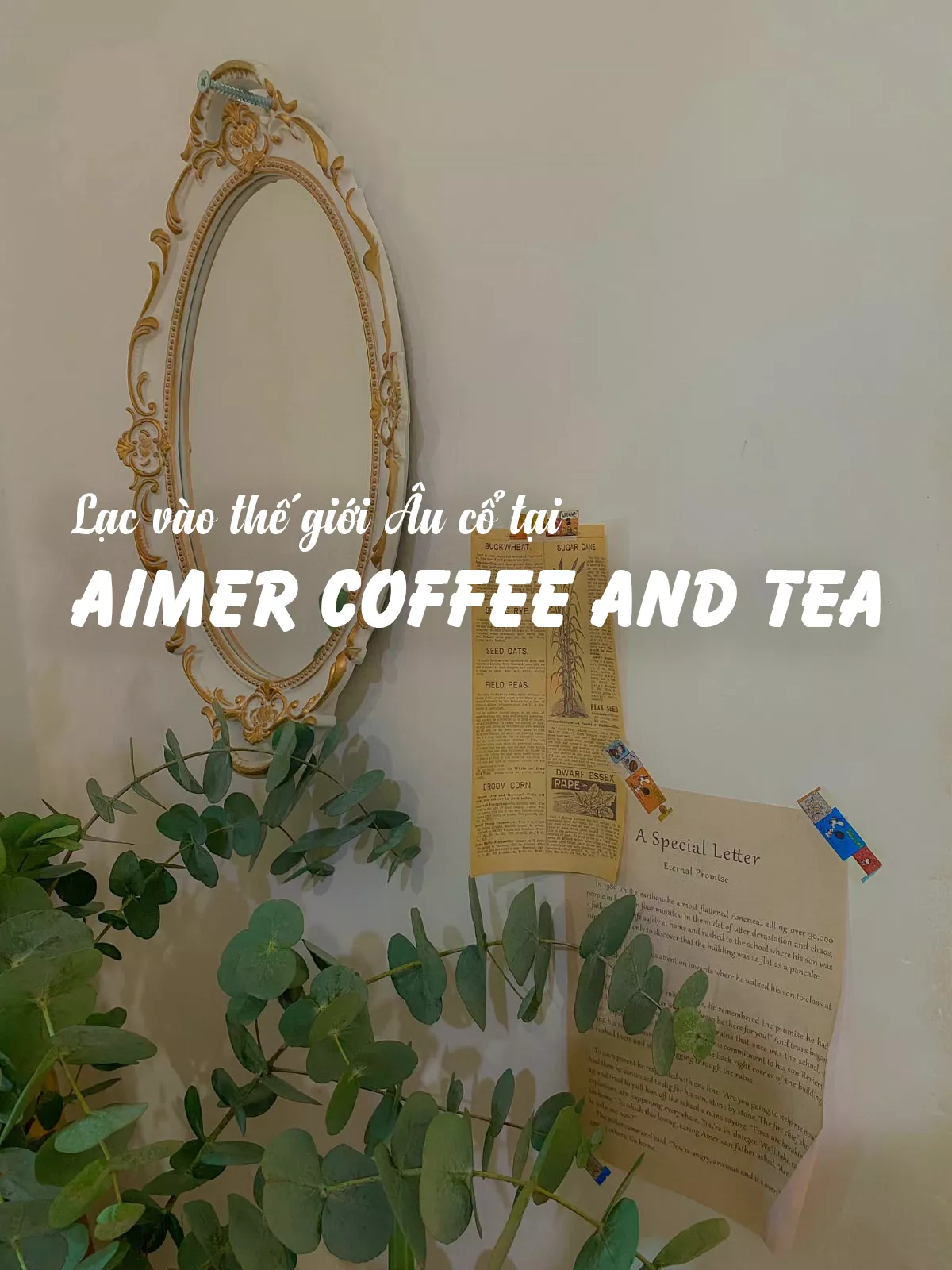 Lạc vào thế giới Âu cổ tại Aimer coffee and tea | Bộ sưu tập do Tiên Đỗ ...