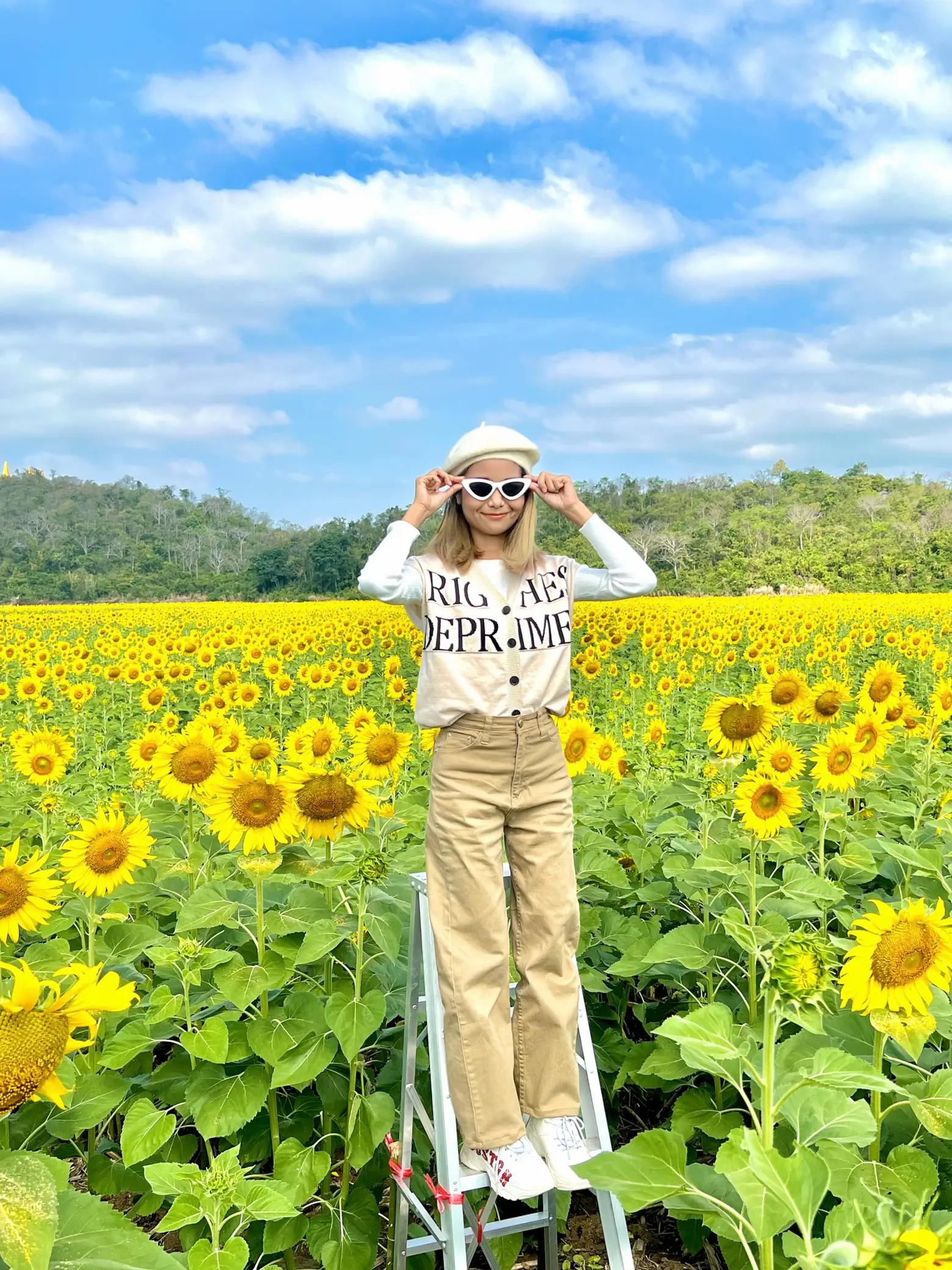 Sunflower fields are blooming. Let's take pictures. 🌻🌻 | Gallery posted ...