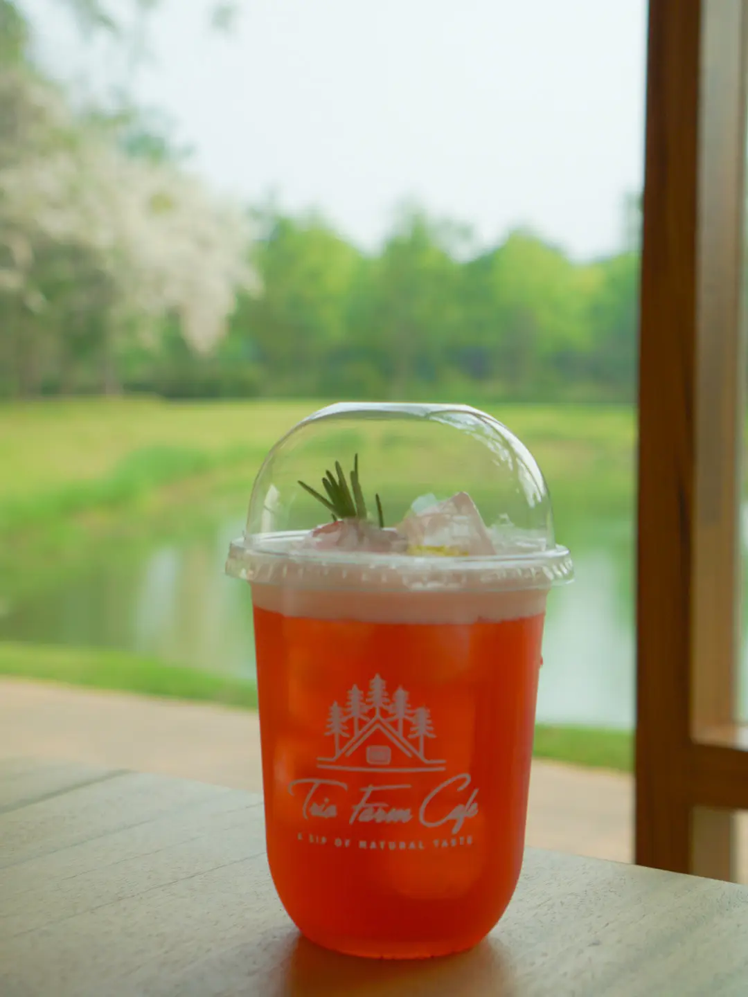 Trio Farm Cafe | #คาเฟ่เปิดใหม่กาญจนบุรี | แกลเลอรีที่โพสต์โดย Let's Go ...