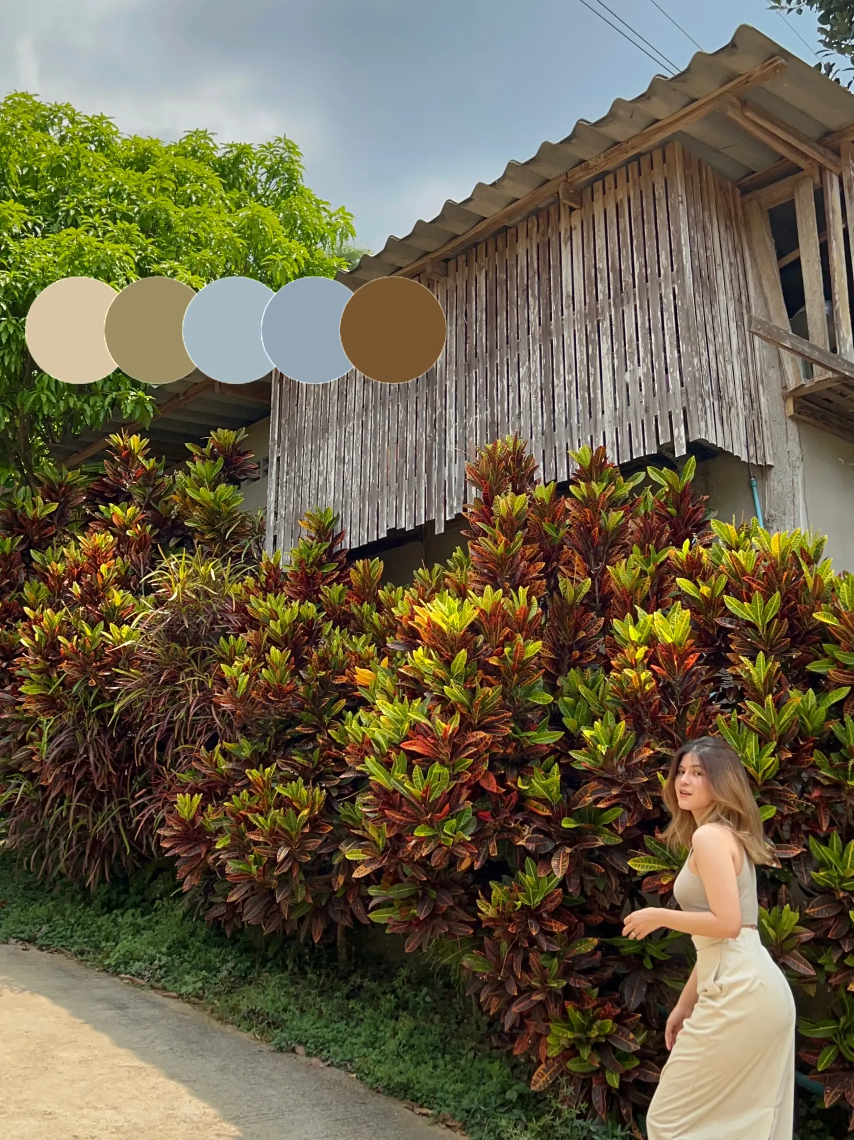 ว่ากันด้วยเรื่องโทนสี💚 | แกลเลอรีที่โพสต์โดย gif piya | Lemon8