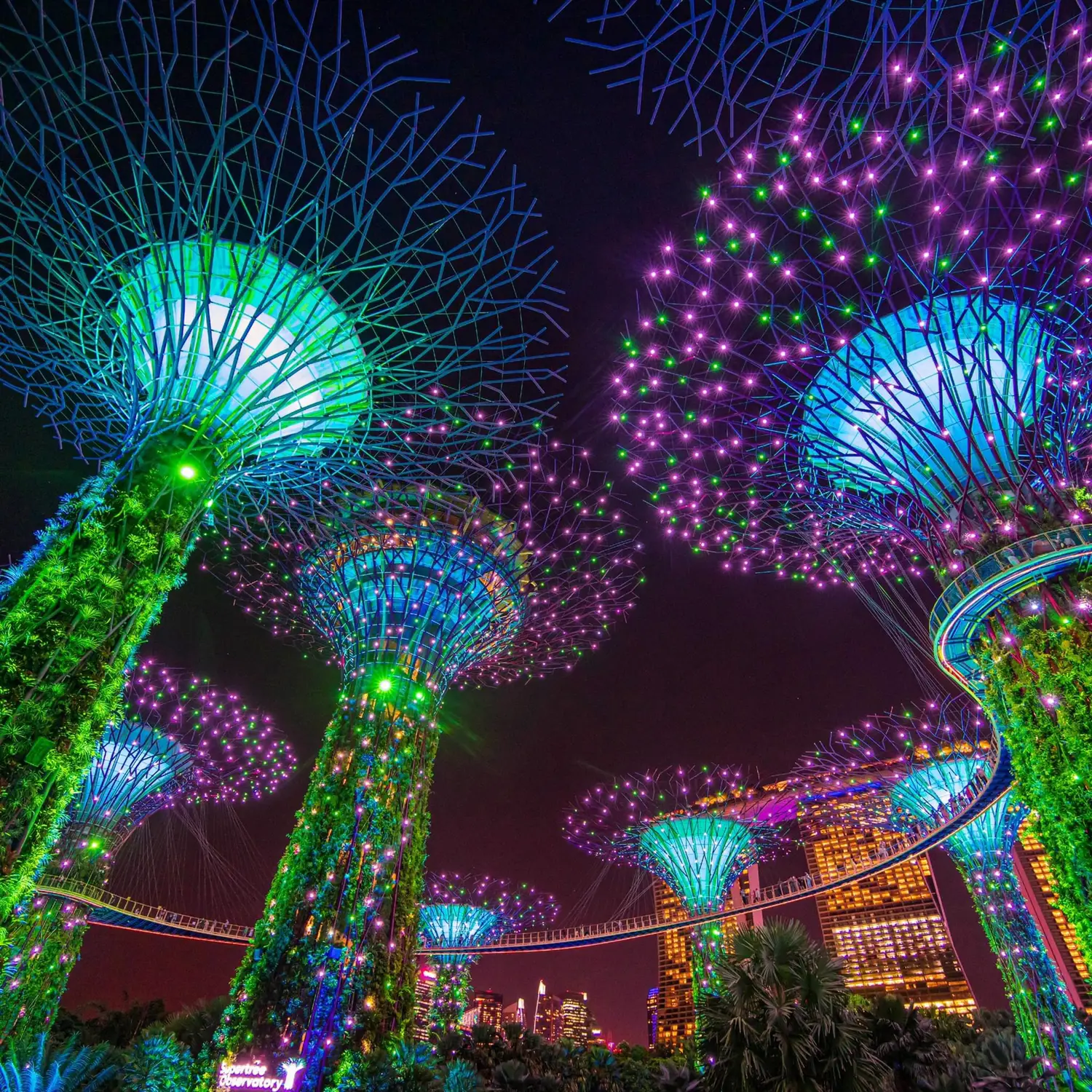 Lilly Pond มุมลับๆ สุดปังๆใน Garden By The Bay สิงคโปร์ | แกลเลอรีที่โพสต์โดย Aumjumma | Lemon8