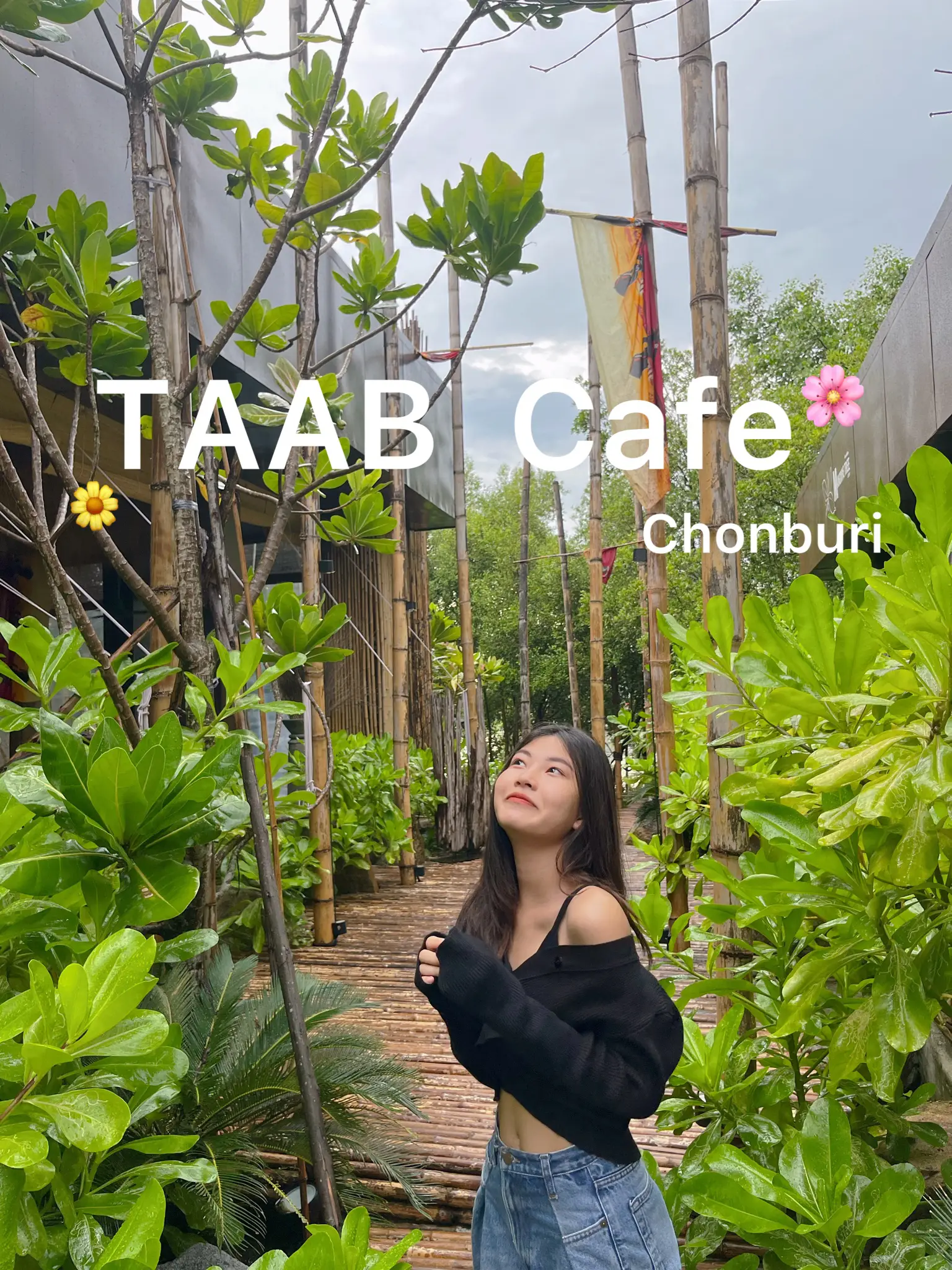 TAAB Cafe ☀️ | แกลเลอรีที่โพสต์โดย Ujeen JA | Lemon8