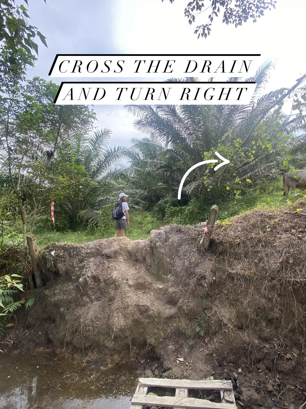 How to go Sepang South Africa? (Part 1) | แกลเลอรีที่โพสต์โดย Khor Phor ...