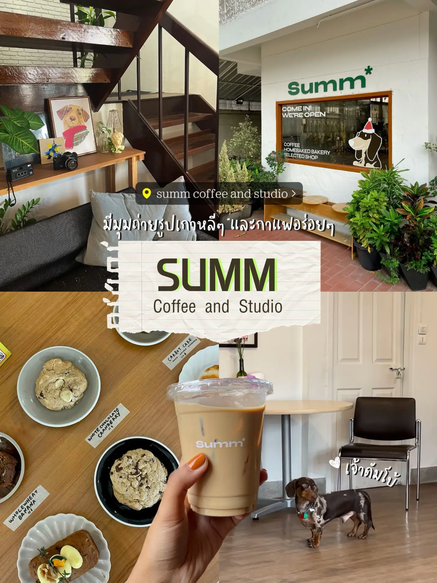 #เช็คอิน BKK 2 วัน 1 คืน! ฉบับคนว่างอยากเข้าเมือง ️🌃 | แกลเลอรีที่โพสต์โดย พลอยแทม💫 | Lemon8