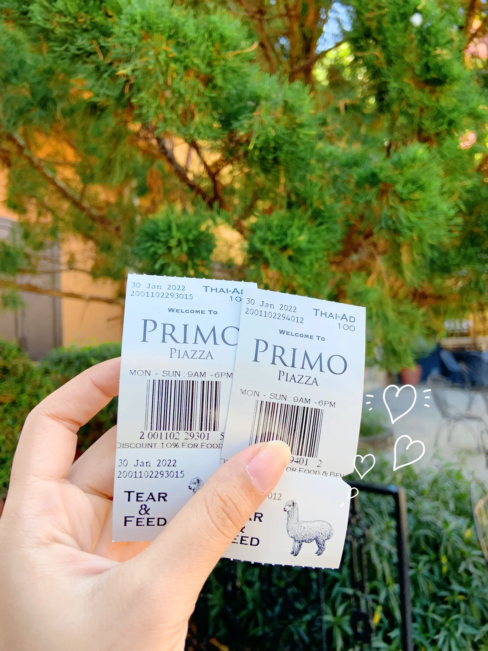 เซลฟี่กับอัลปาก้า&แกะ @Primo Piazza เขาใหญ่🌲🦙 | แกลเลอรีที่โพสต์โดย Pipim | Lemon8
