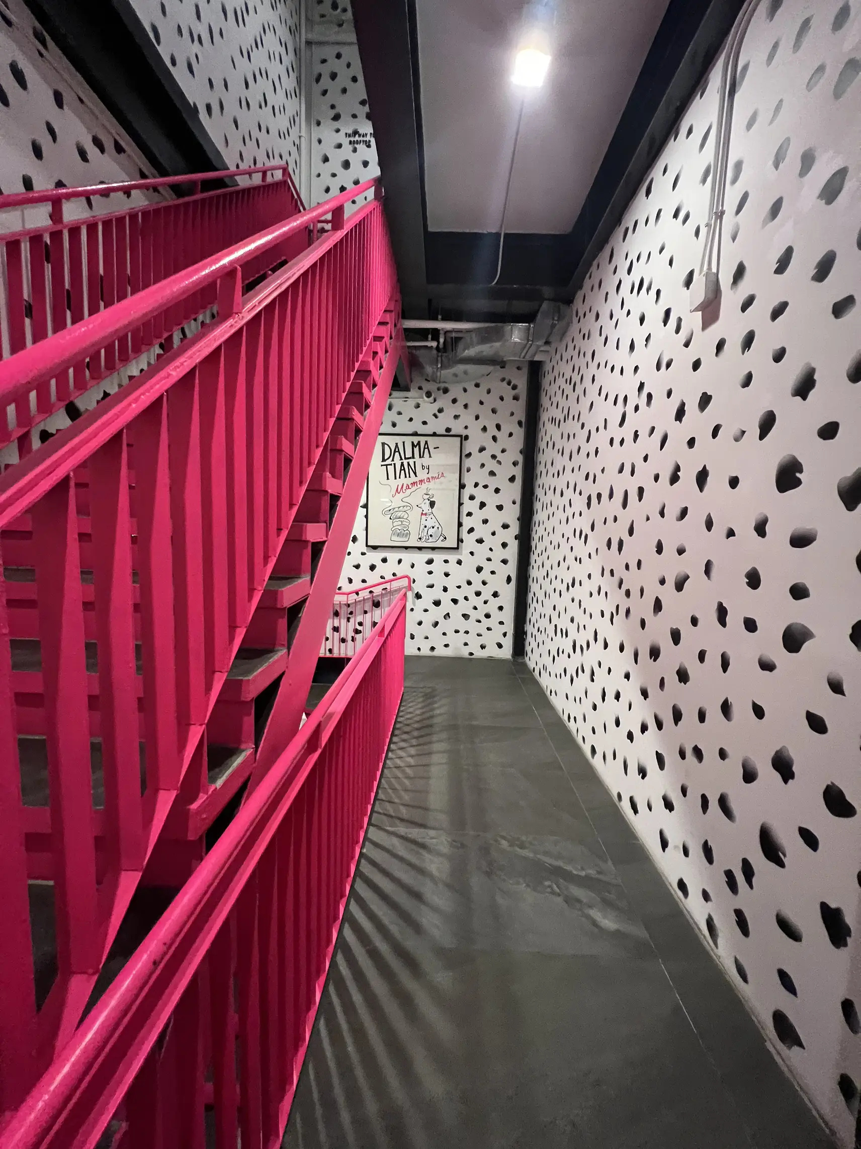 Dalmatian 달마시안 Siam Square Block | แกลเลอรีที่โพสต์โดย TravelTogether ...