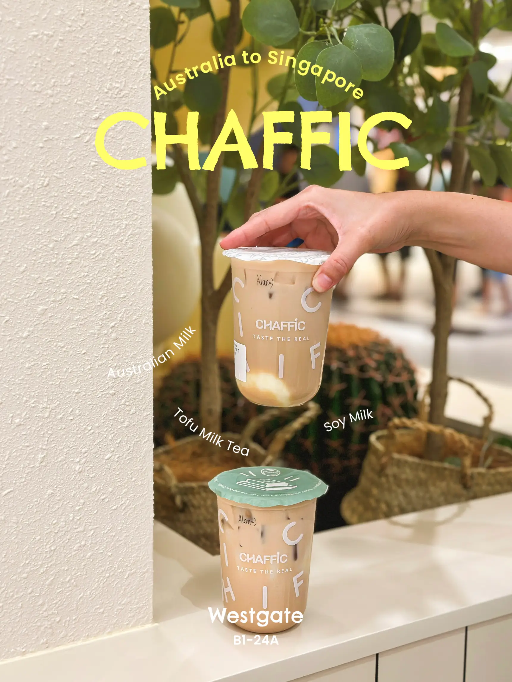 Chaffic Menu Singapore - Lemon8 Search