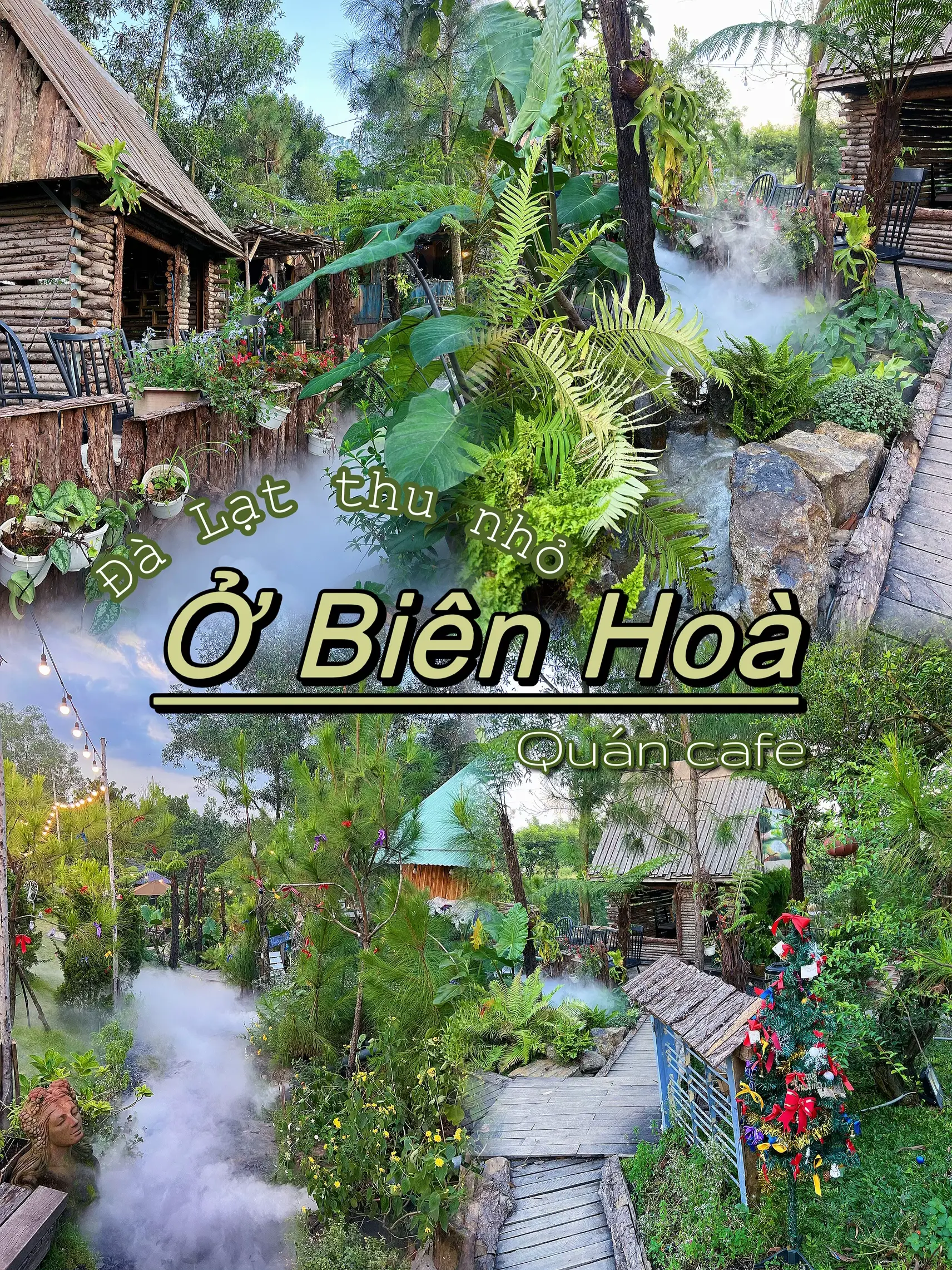 Lặng coffee Đà Lạt thu nhỏ ở Biên Hoà 🎄 | Video do Dun Dun đăng | Lemon8