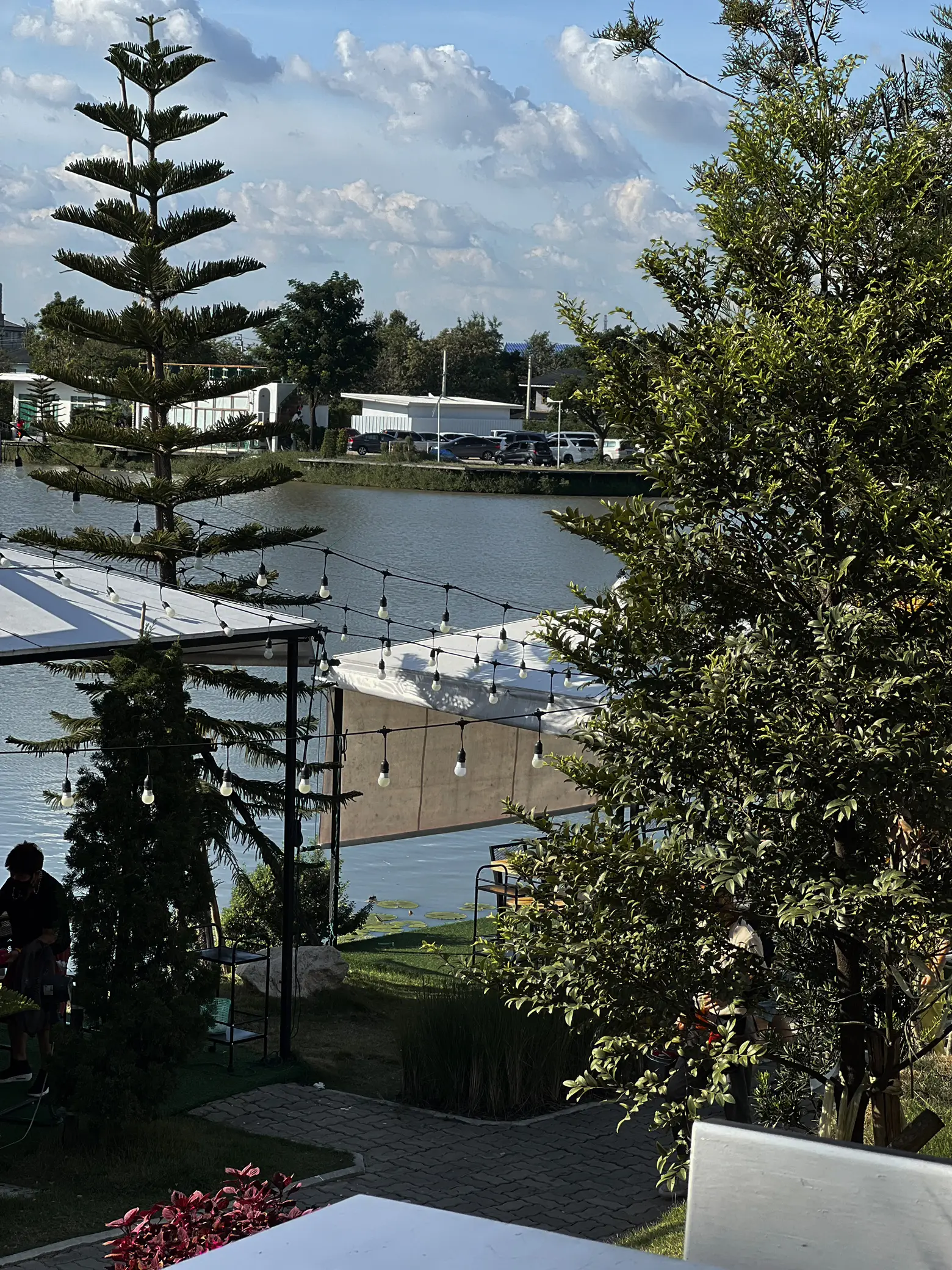 Cafe Minburi, on the lake side, can bring pets. 📍 | Gallery posted by ...