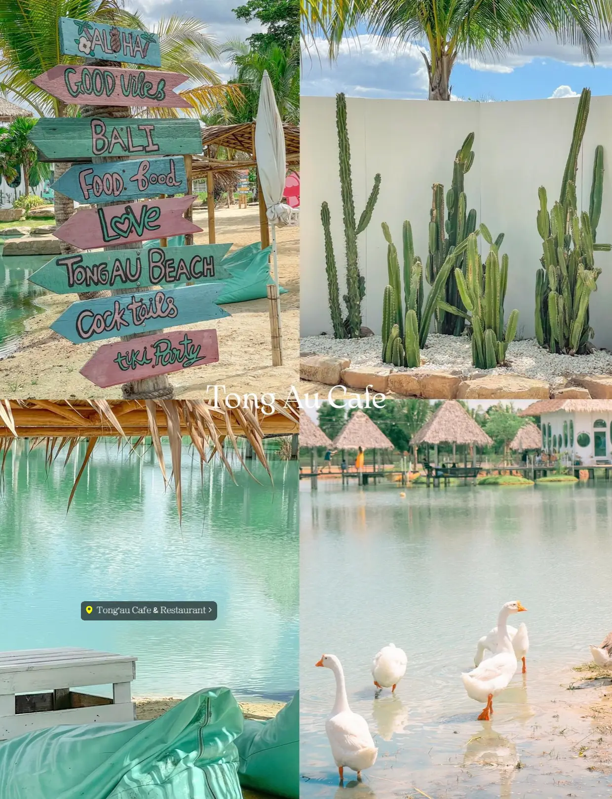 รวมที่เที่ยว One day trip in ลพบุรี 🚘🌳 | แกลเลอรีที่โพสต์โดย lbzero | Lemon8