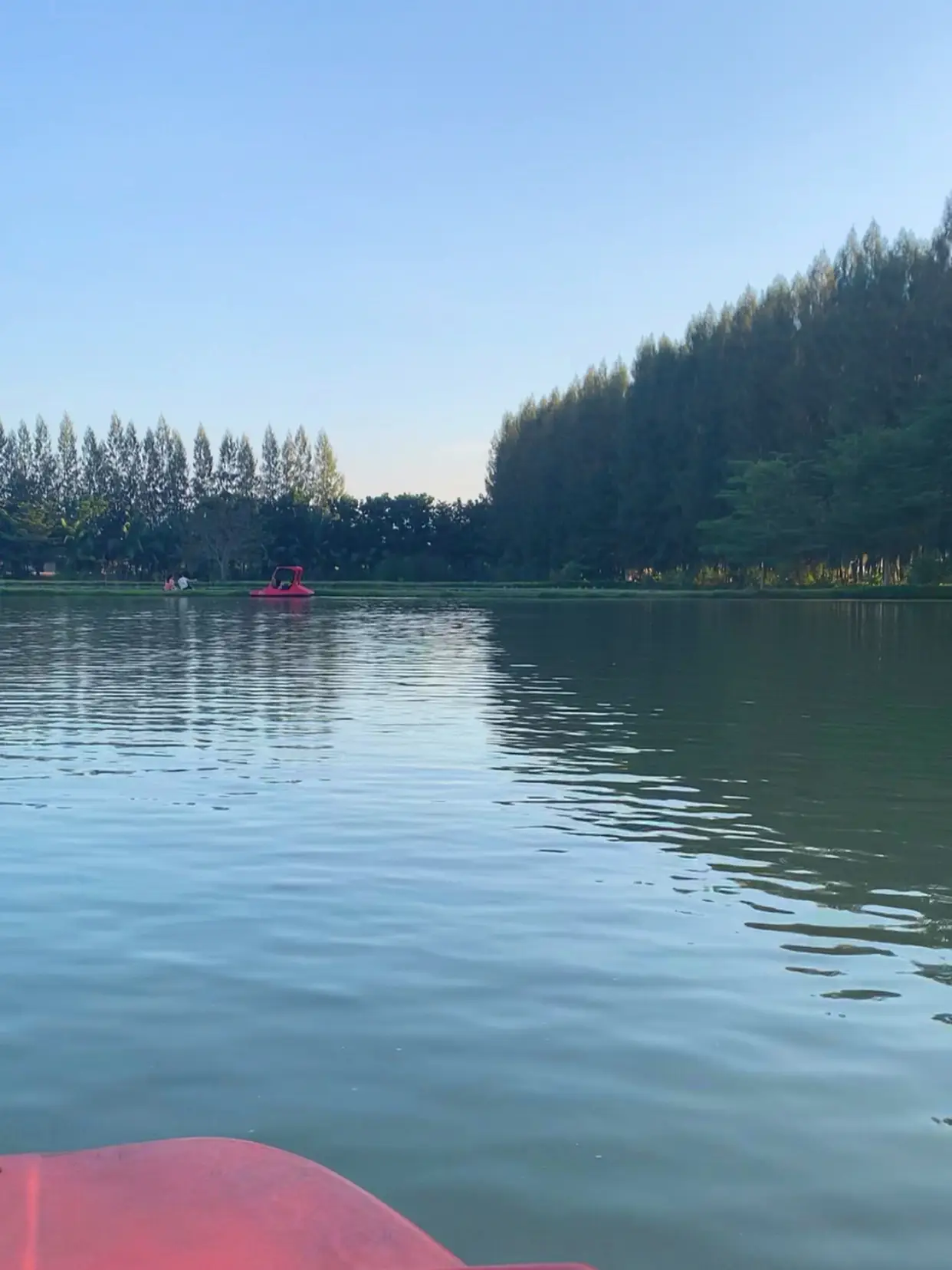 Dubua Cafe to Spin Duck Du Bua at Nakhon Pathom 🐥 | Gallery posted by ...