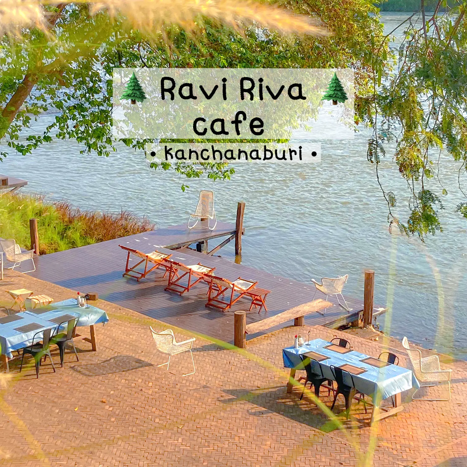 Ravi Riva cafe โซนริมน้ำ🌲 | แกลเลอรีที่โพสต์โดย Kanyarat | Lemon8