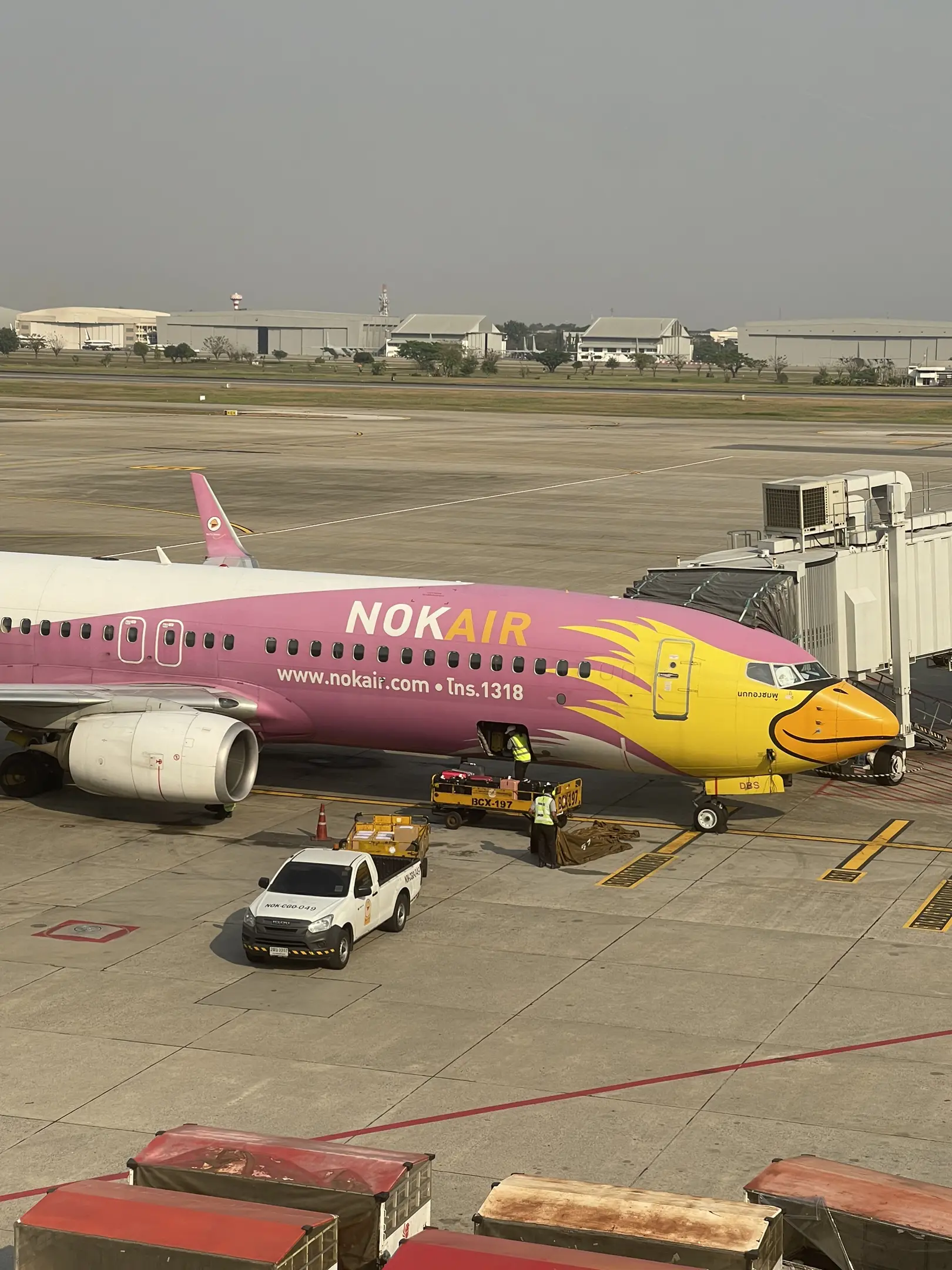 ครั้งแรก ส่งน้องหมาโดย Cargo NOKAIR | แกลเลอรีที่โพสต์โดย MINDY WONG ...