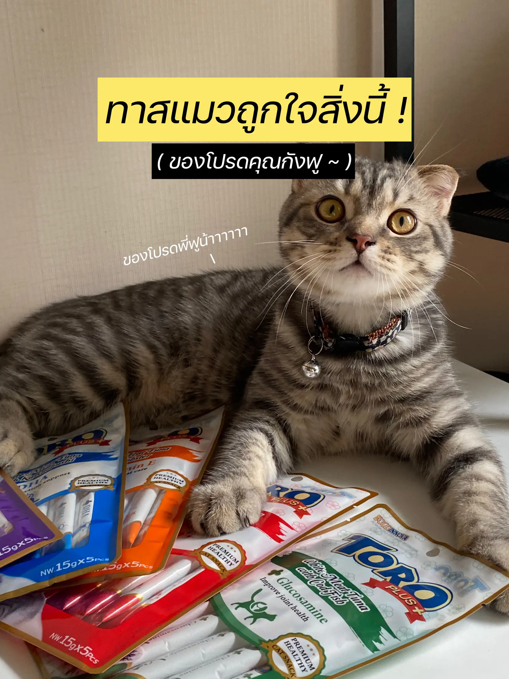 ขนมแมวเลีย | แกลเลอรีที่โพสต์โดย Yves.tt | Lemon8