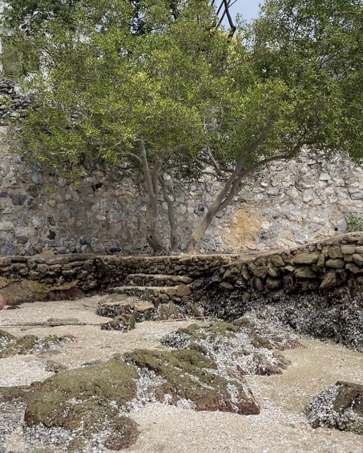 HIDDEN LAB CAFE 🐋🥛🌱 in Chonburi | แกลเลอรีที่โพสต์โดย pinocchio | Lemon8