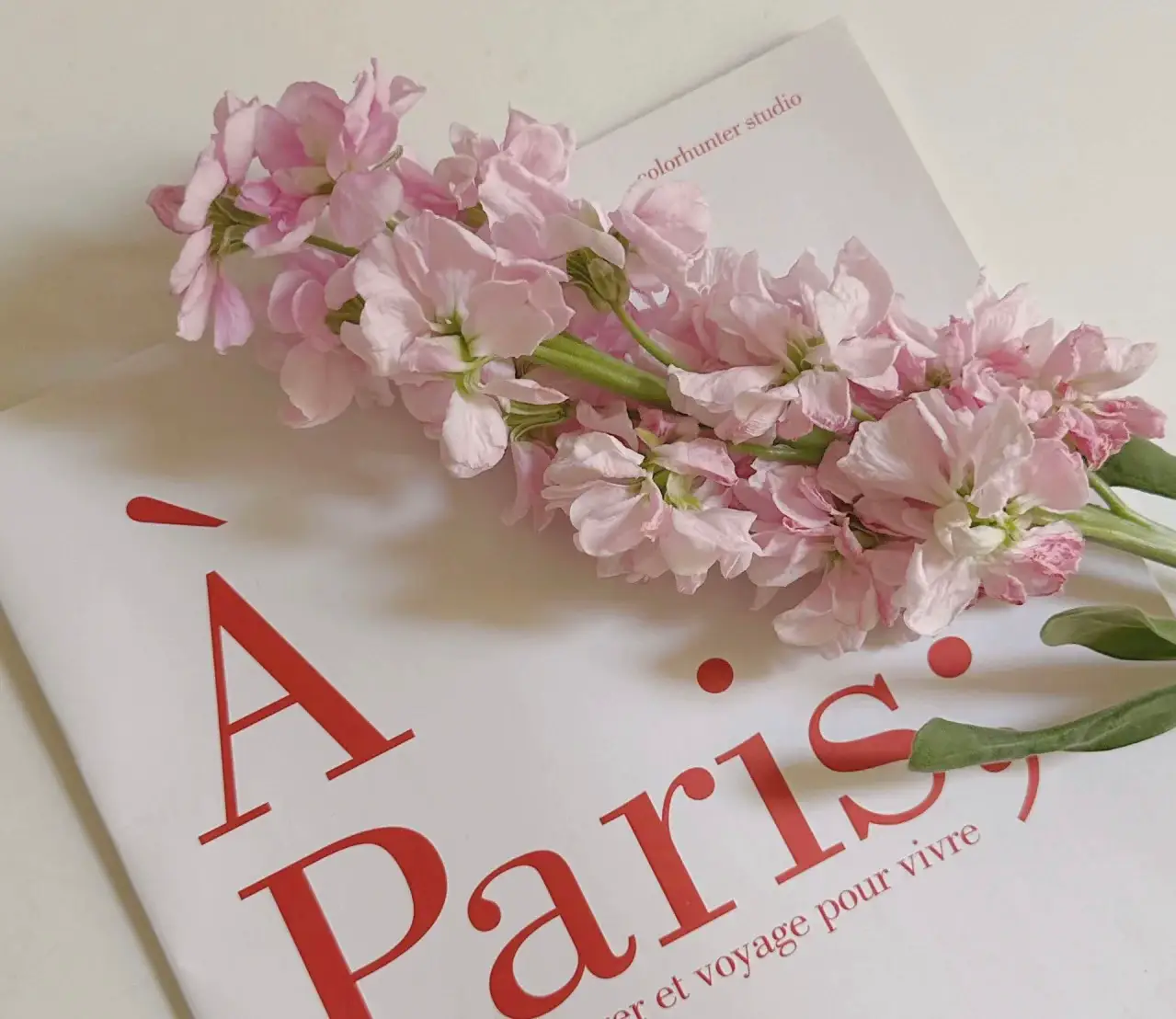 VSCO สาวๆ โทนเกาหลีนี้เหมาะมากสำหรับการบันทึกฤดูใบไม้ผลิ | แกลเลอรีที่ ...