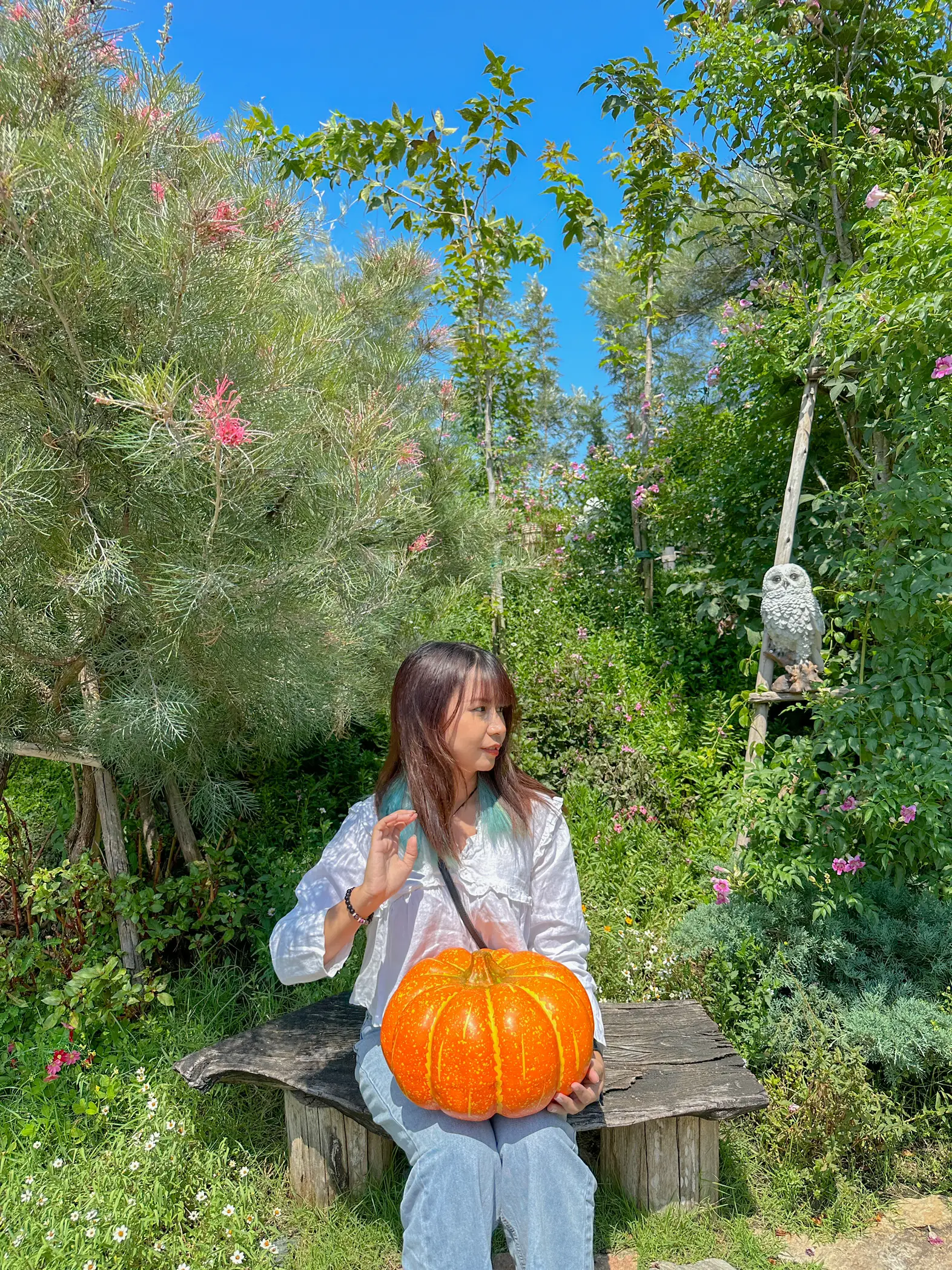 คาเฟ่บ้าน Hobbit🌳Scene Secret House ย่านราชพฤกษ์ | แกลเลอรีที่โพสต์โดย Mona Mo | Lemon8