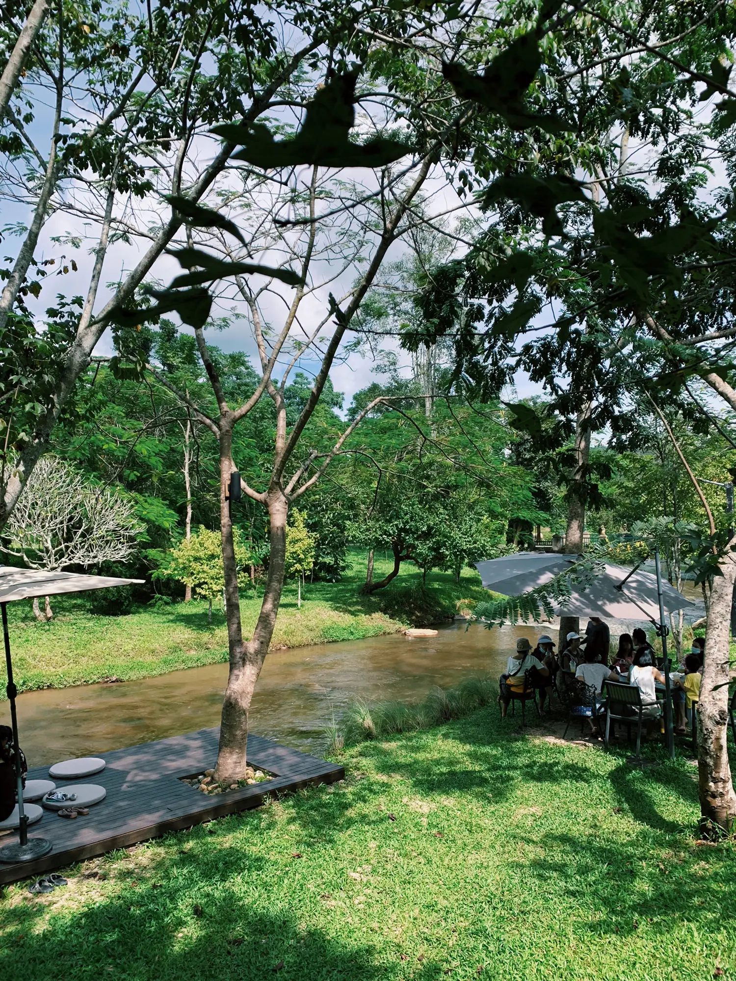 รีวิว คาเฟ่เชียงราย | Canary Farm Cafe & Restaurant | แกลเลอรีที่โพสต์ ...