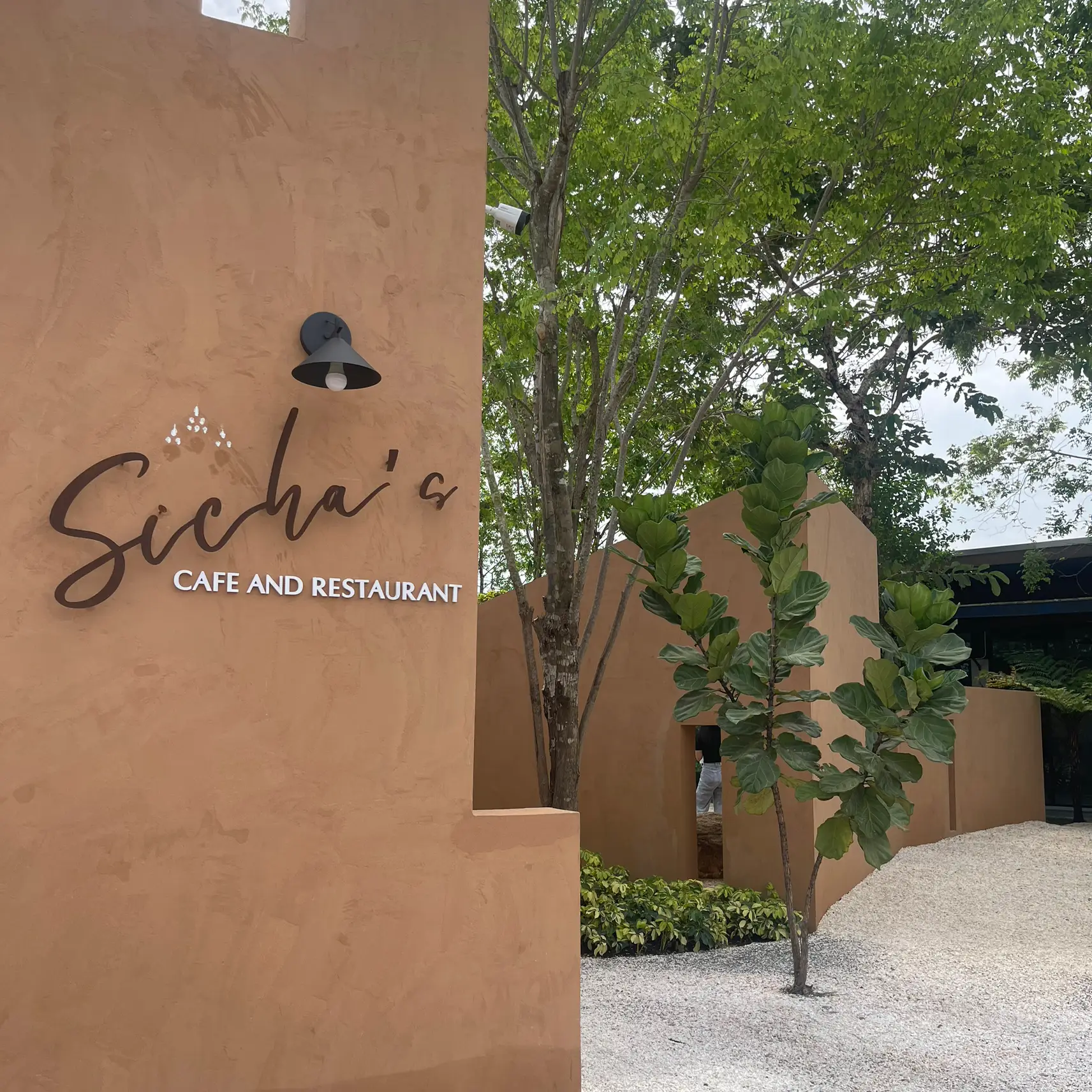 Sicha’s คาเฟ่ถูกใจสายถ่ายรูป | แกลเลอรีที่โพสต์โดย Phinanan S. | Lemon8