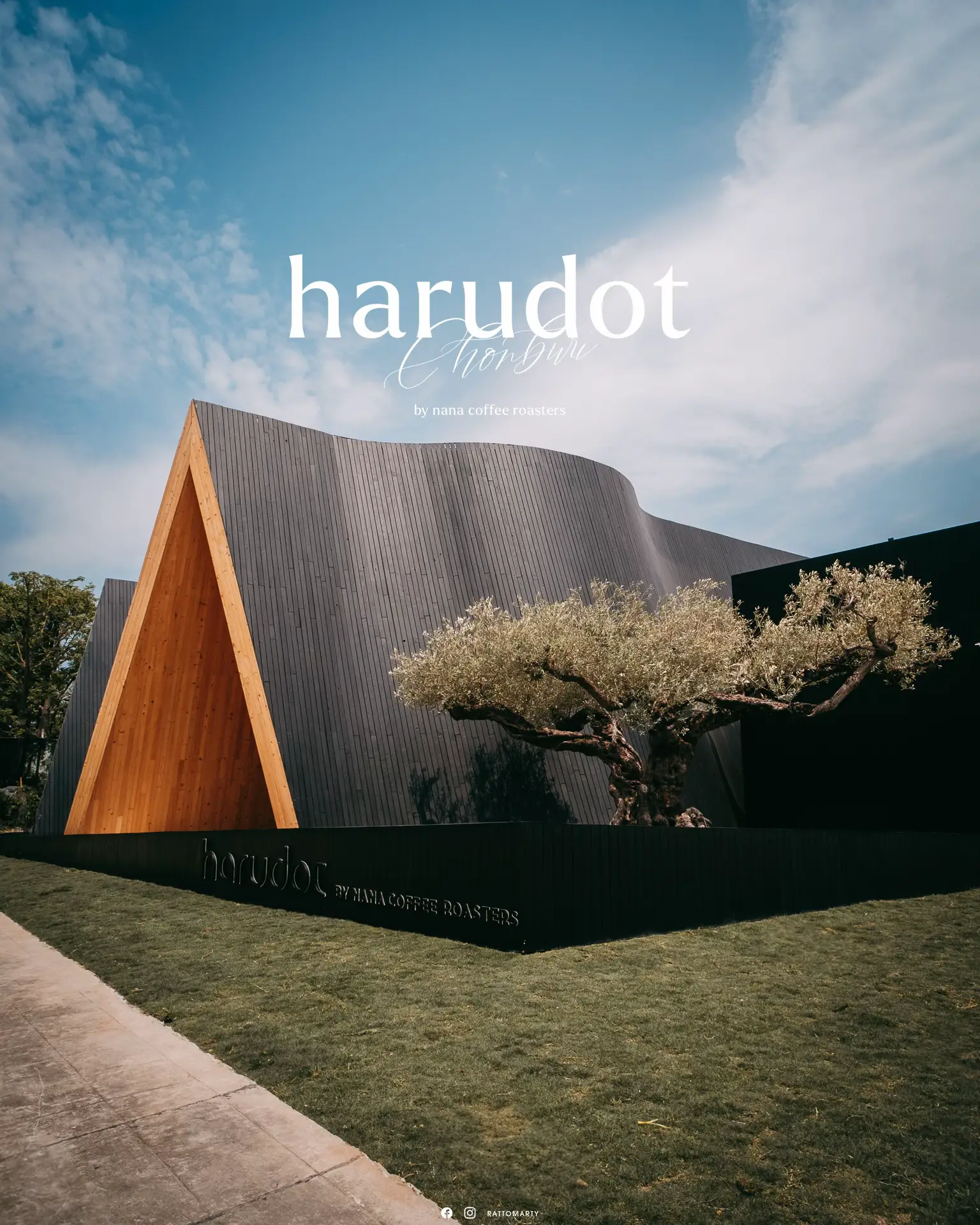 HaruDot by Nana Coffee Roasters แลนด์มาร์คใหม่ชลบุรี | แกลเลอรีที่โพสต์ ...
