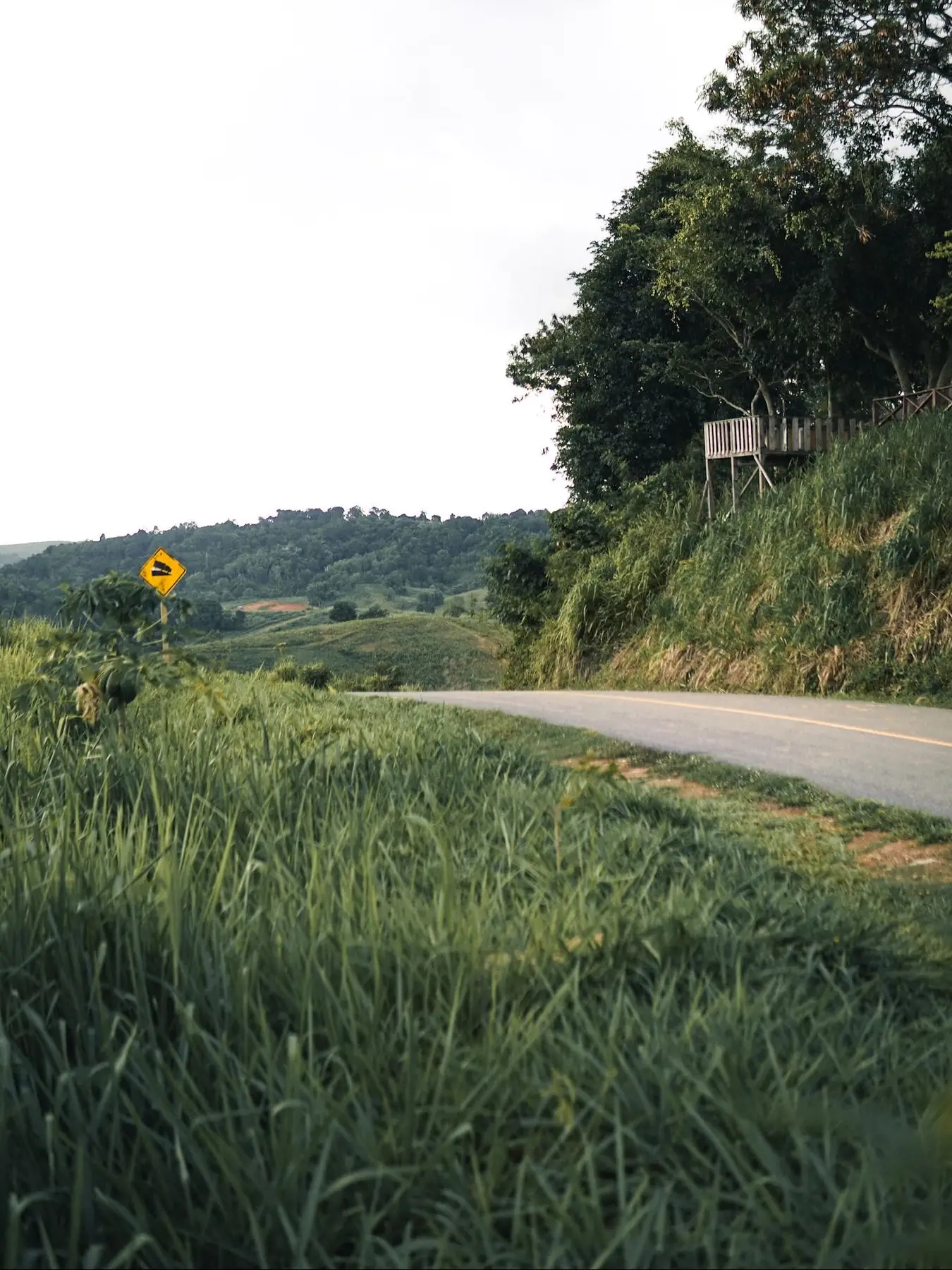 Rode Trip @วังน้ำเขียว | แกลเลอรีที่โพสต์โดย Pxm_zz | Lemon8