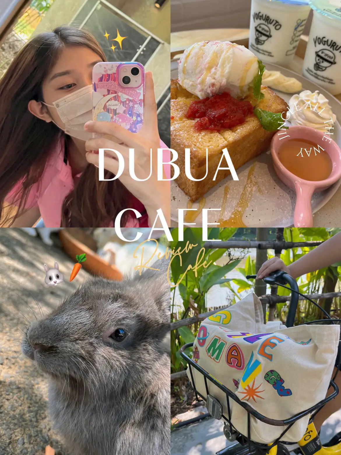 DUBUA CAFE | ดูบัว คาเฟ่ ฟาร์ม 🐰🥕 | แกลเลอรีที่โพสต์โดย BiBi | Lemon8