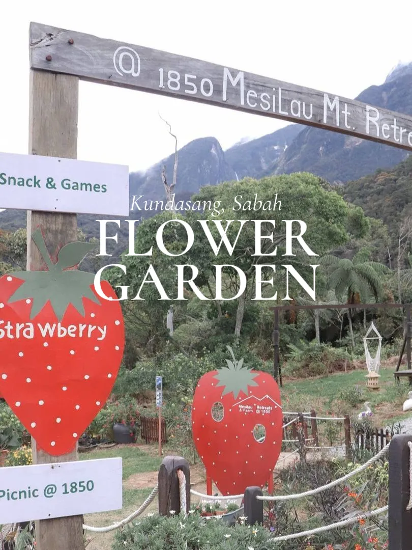 Flower Garden near a Strawberry Farm 🍓 in Sabah | Galeri disiarkan oleh ...