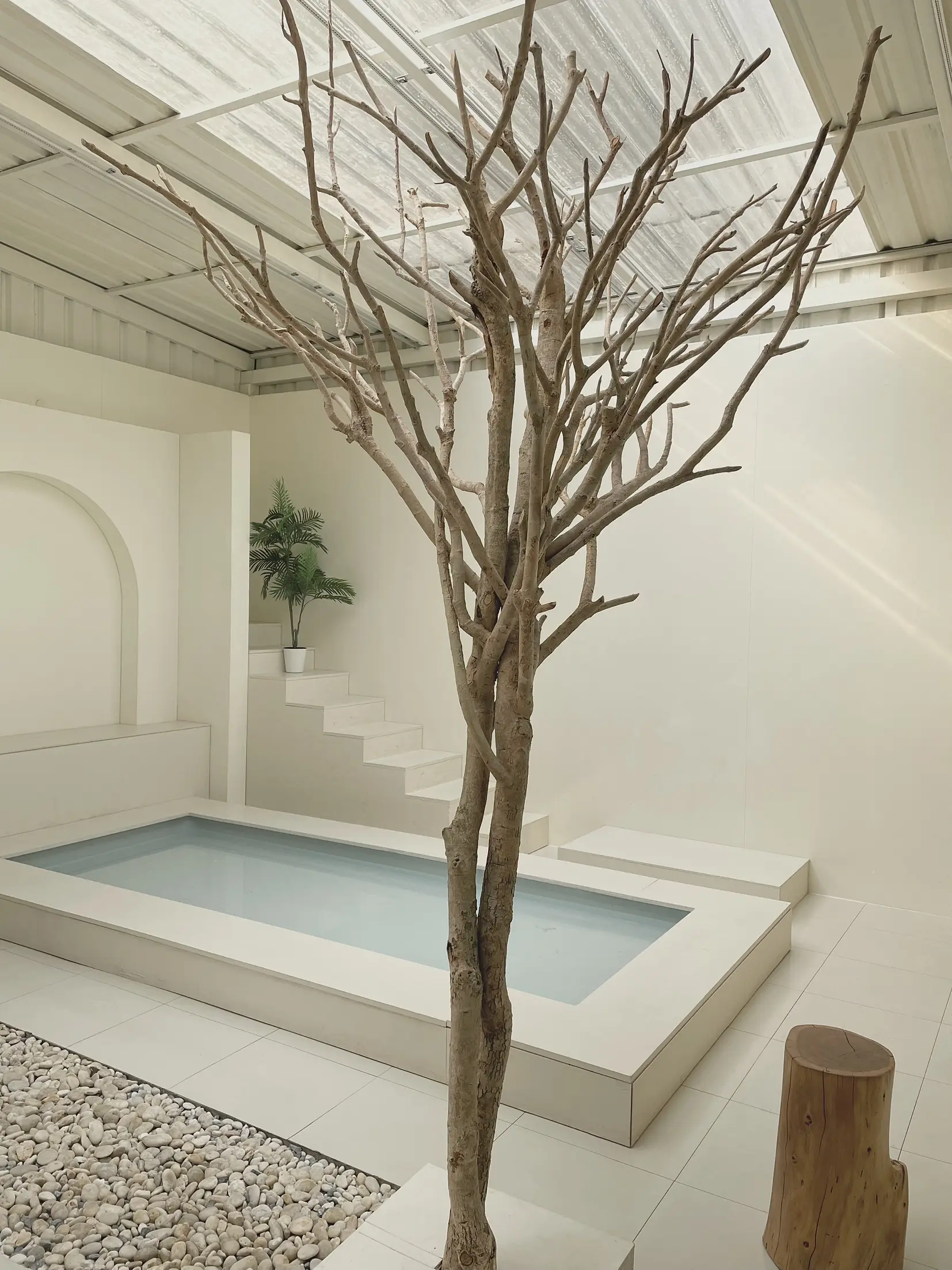 Mostly Sunny Studio สตูดิโอถ่ายรูปย่านฝั่งธน มินิมอลมาก! | แกลเลอรีที่ ...