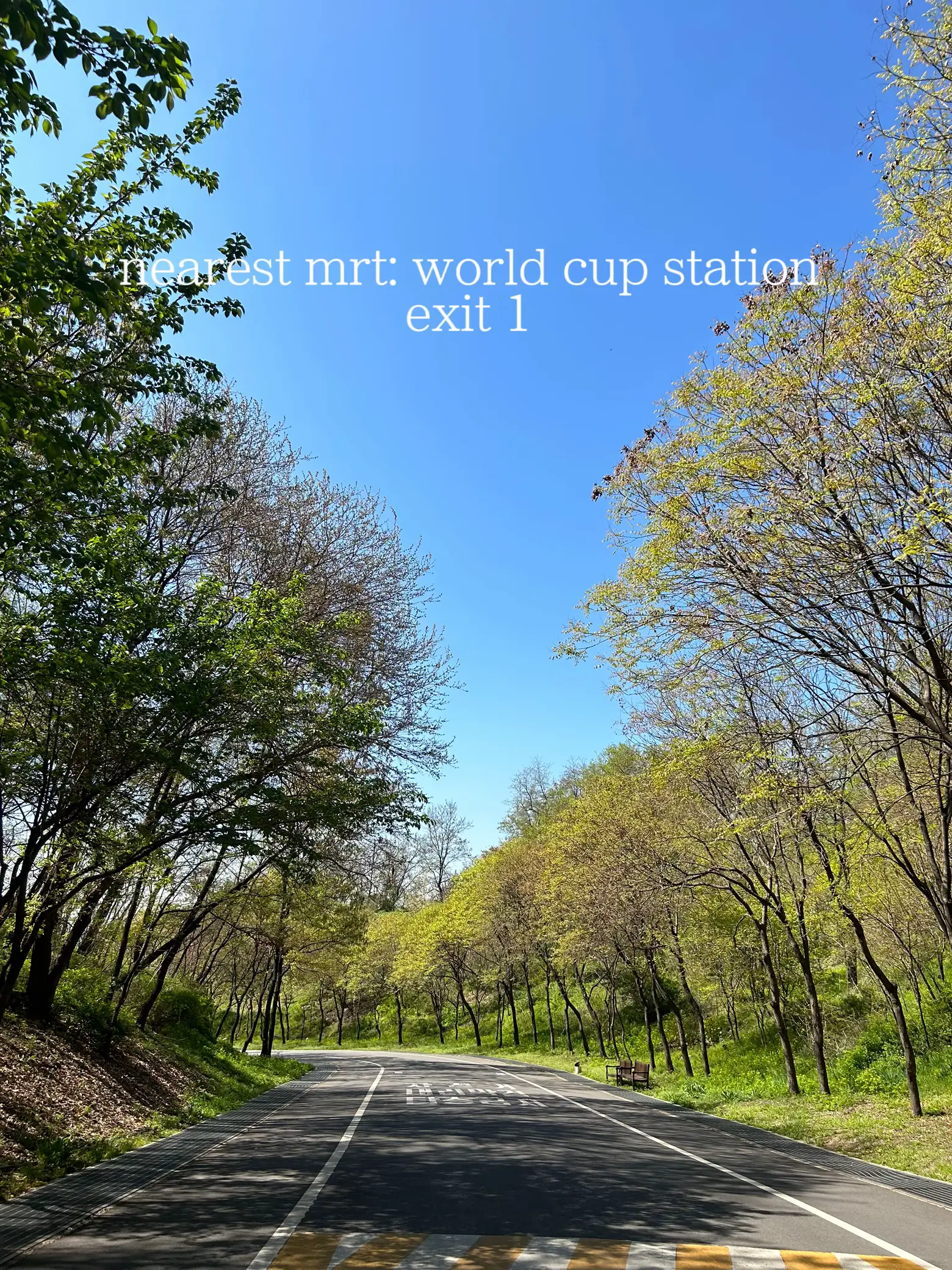 Haneul Park in April: worth going? 🇰🇷 | Gallery posted by yi xuan | Lemon8