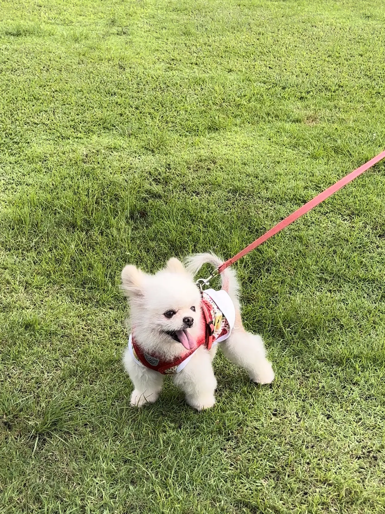 อ่างแก้ว สถานที่ยอดฮิต มหาวิทยาลัยเชียงใหม่ - Angkaew 📍 | แกลเลอรีที่ ...