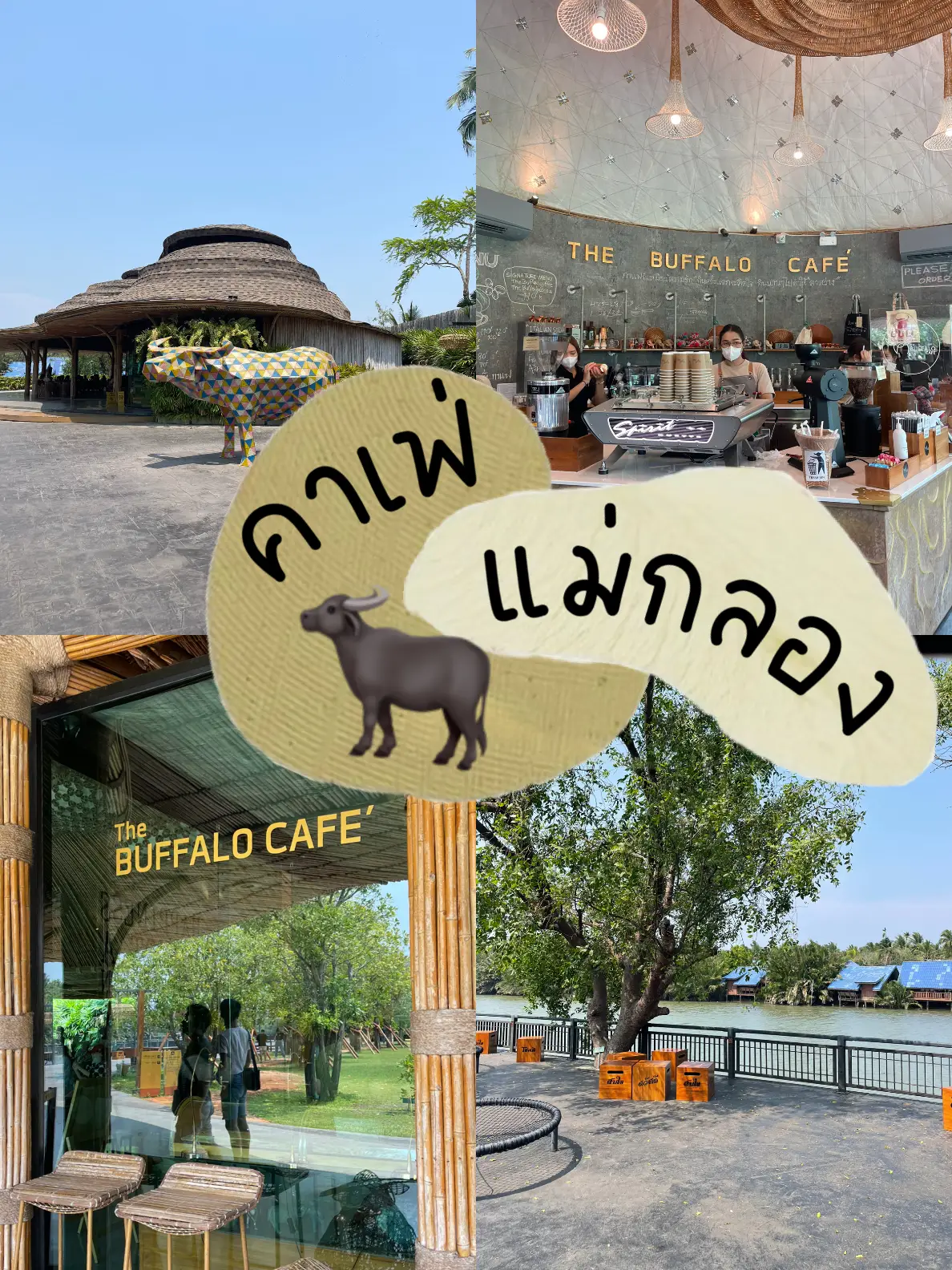 ชี้เป้าคาเฟ่ในอัมพวา 🐃 | แกลเลอรีที่โพสต์โดย itsbennn.n | Lemon8