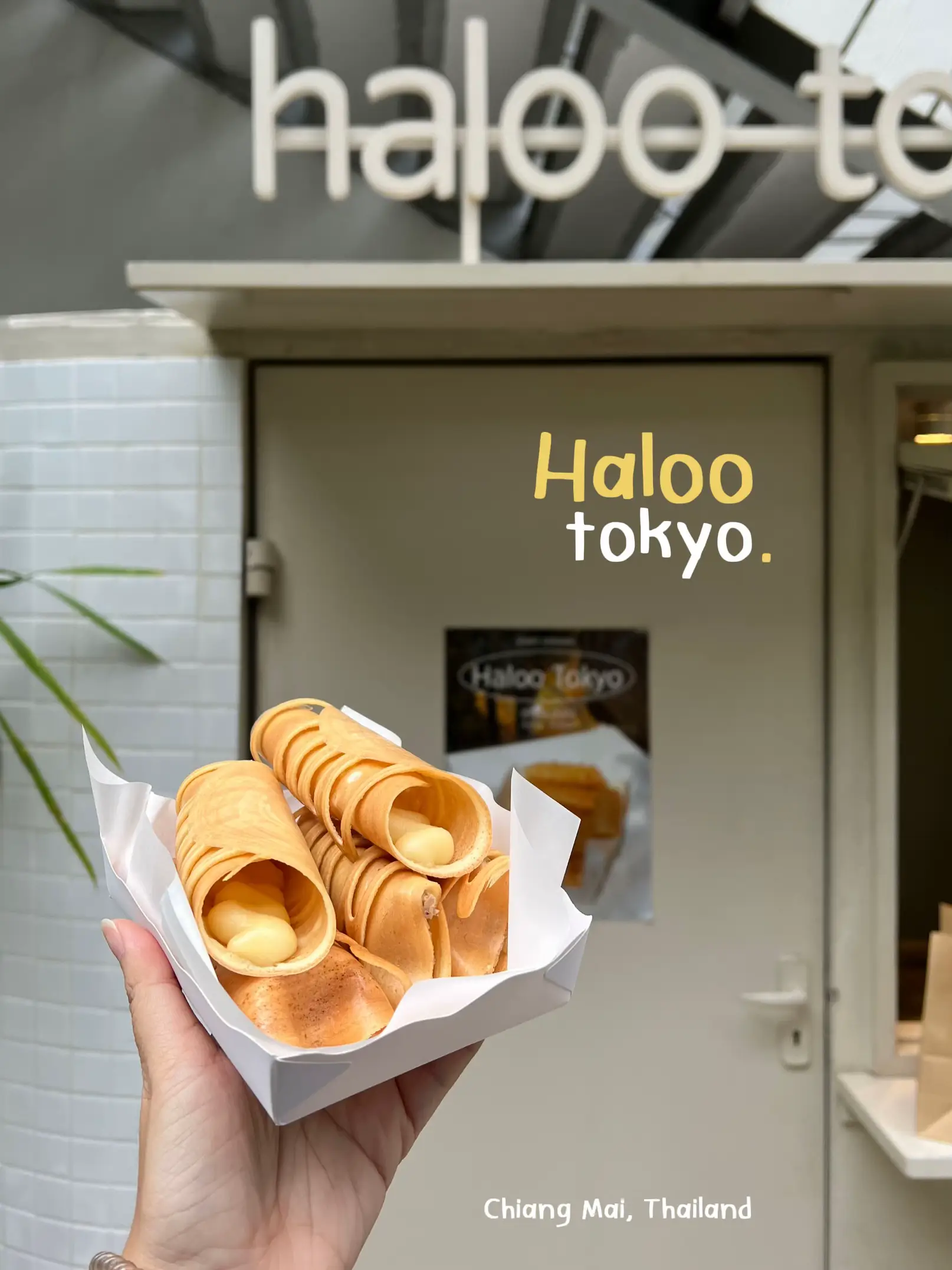 ยกให้แกเป็นที่ 1 เรื่องโตเกียว 🫶🏻💘 haloo tokyo เชียงใหม่. | วิดีโอที่เผยแพร่โดย NCRRR | Lemon8