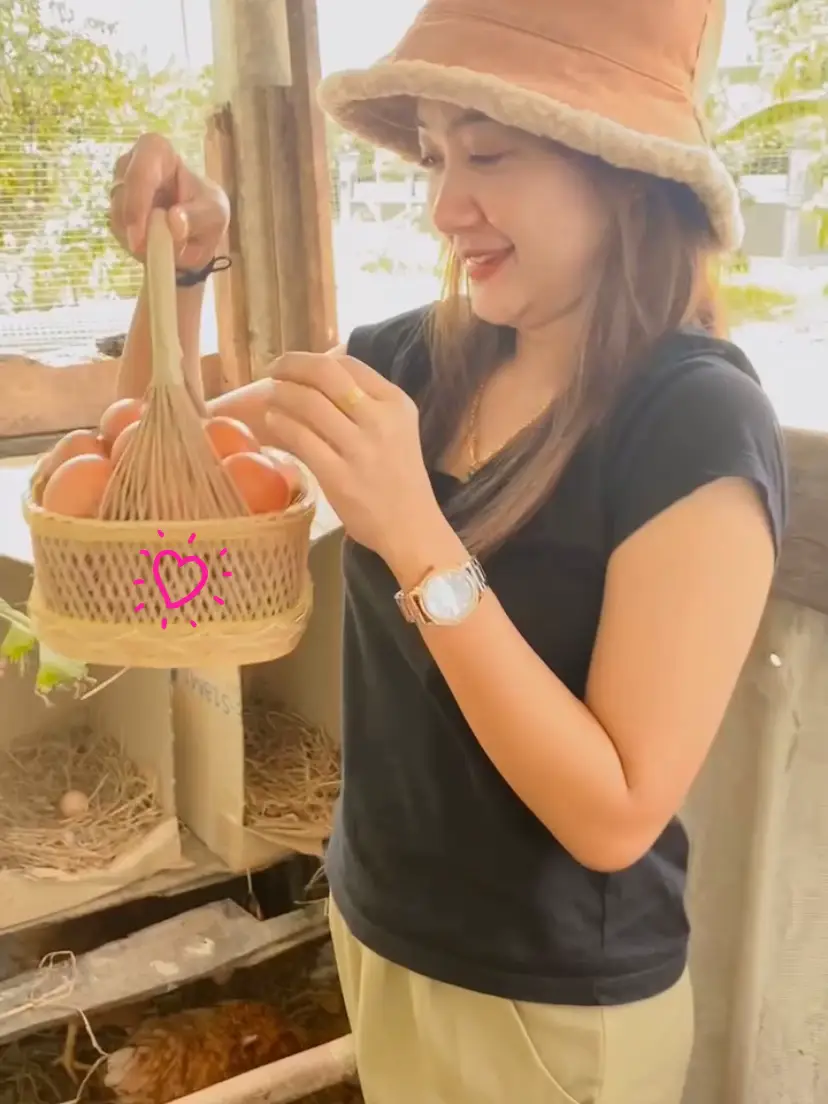 เลี้ยงไก่ไข่ ได้อะไรมากกว่าที่คิด 🐓 | แกลเลอรีที่โพสต์โดย 💕 khun_ploy | Lemon8
