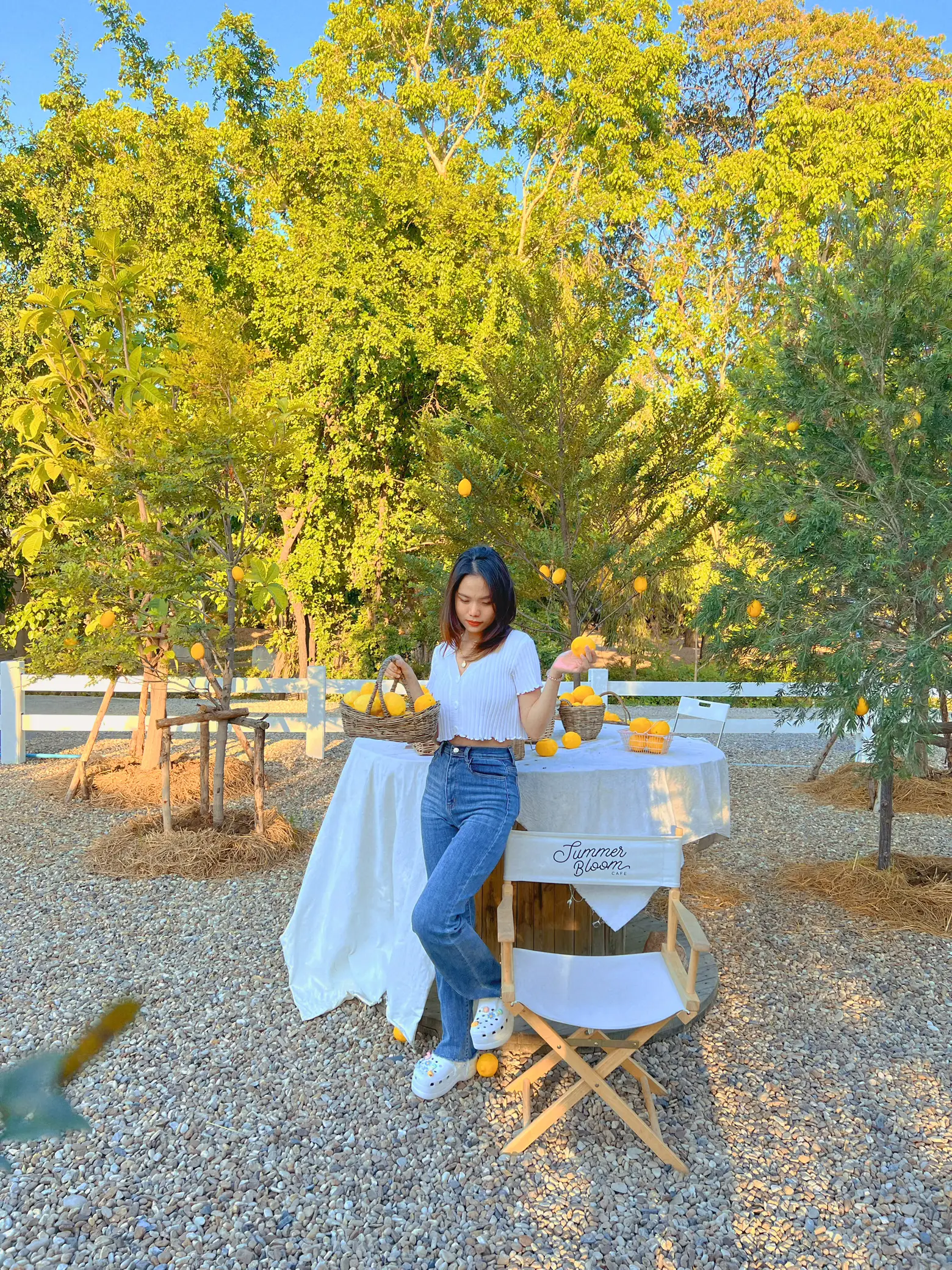 SummerBloom Cafe ☕️🍰 คาเฟ่บรรยากาศน่ารัก ในสวนเลม่อน🍋 | แกลเลอรีที่โพสต์โดย Bell Bell :) | Lemon8