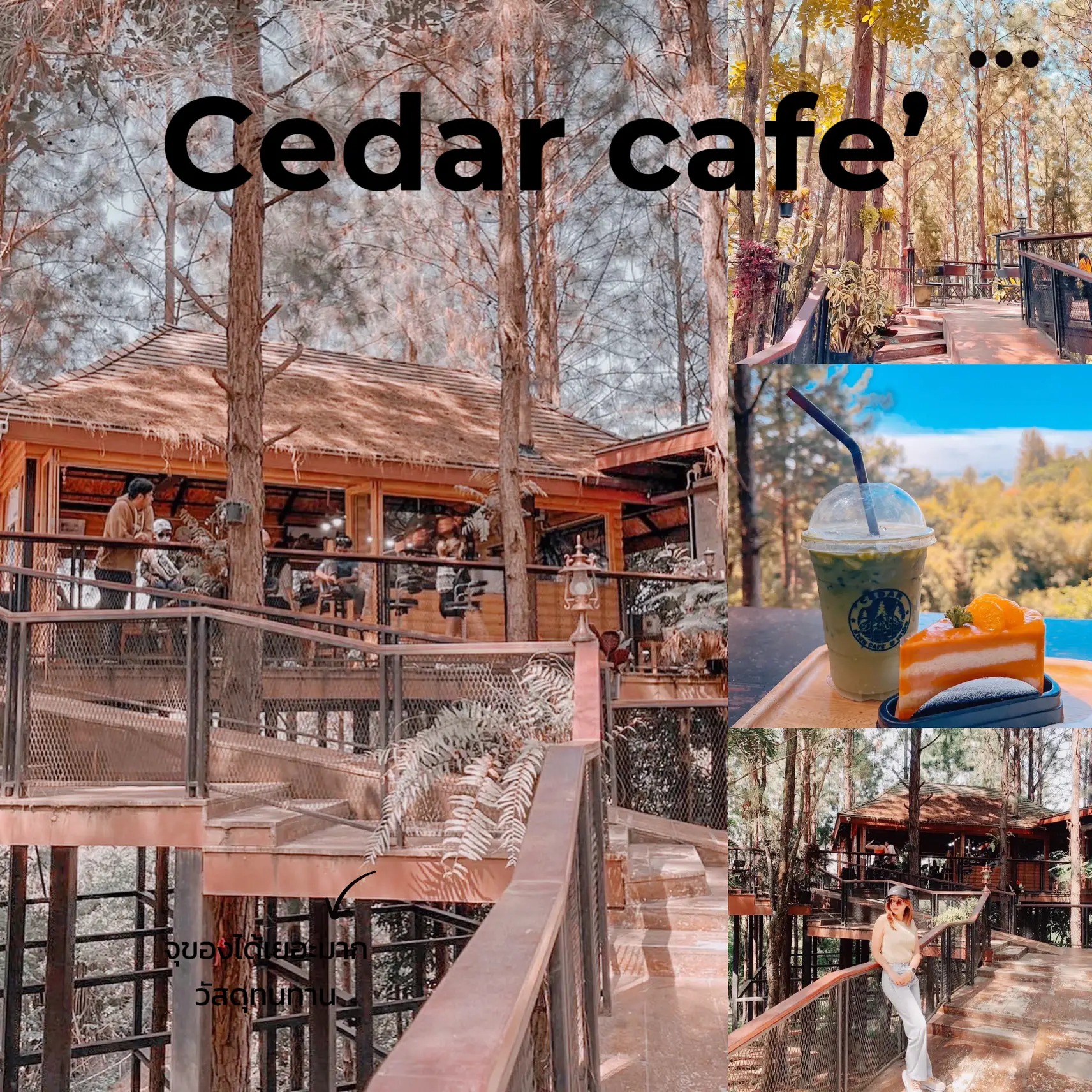 ไปเที่ยวเขาค้อต้องไม่พลาดคาเฟ่ Cedar Cafe’🍵 | แกลเลอรีที่โพสต์โดย ...